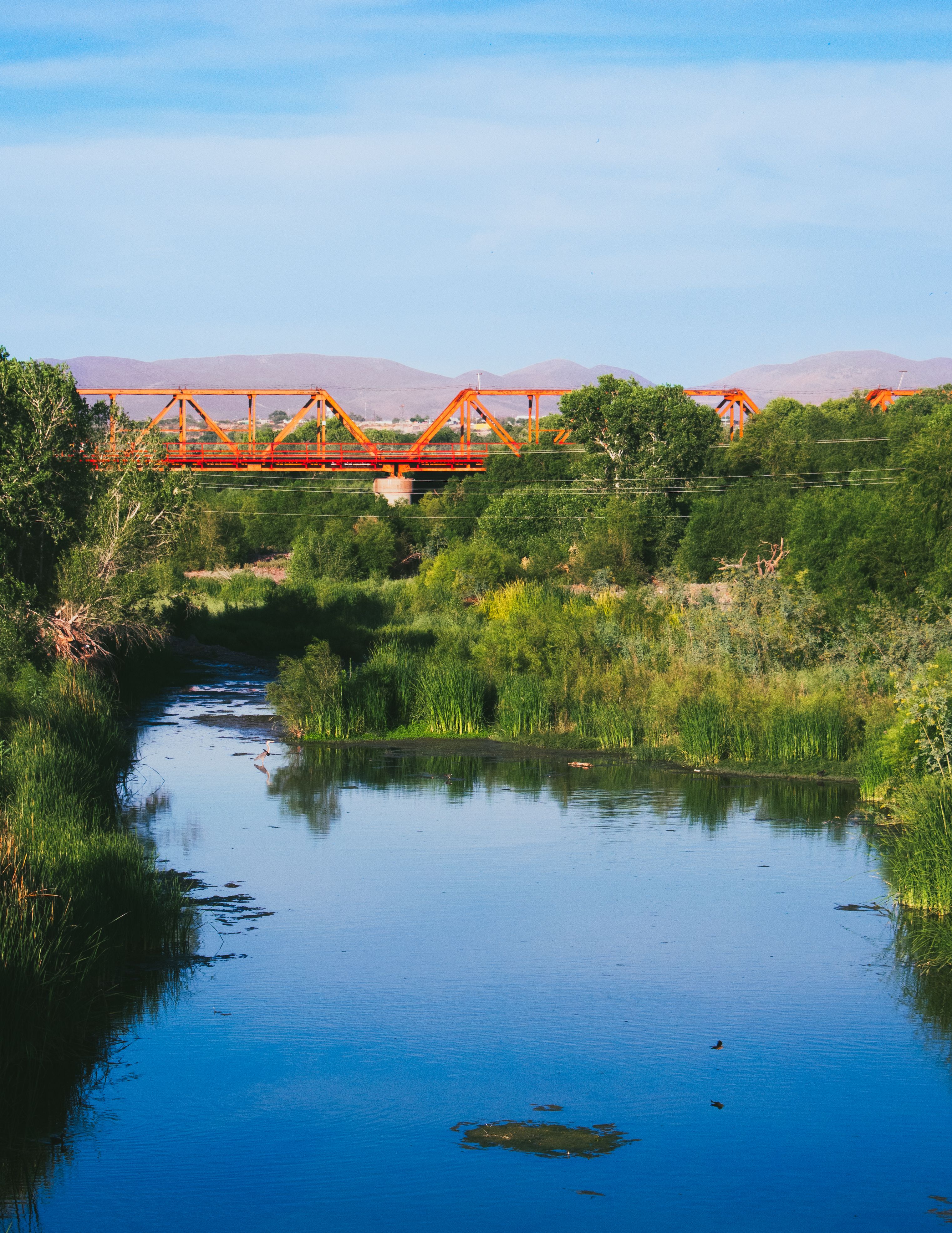 Red Bridge by the River · Free Stock Photo