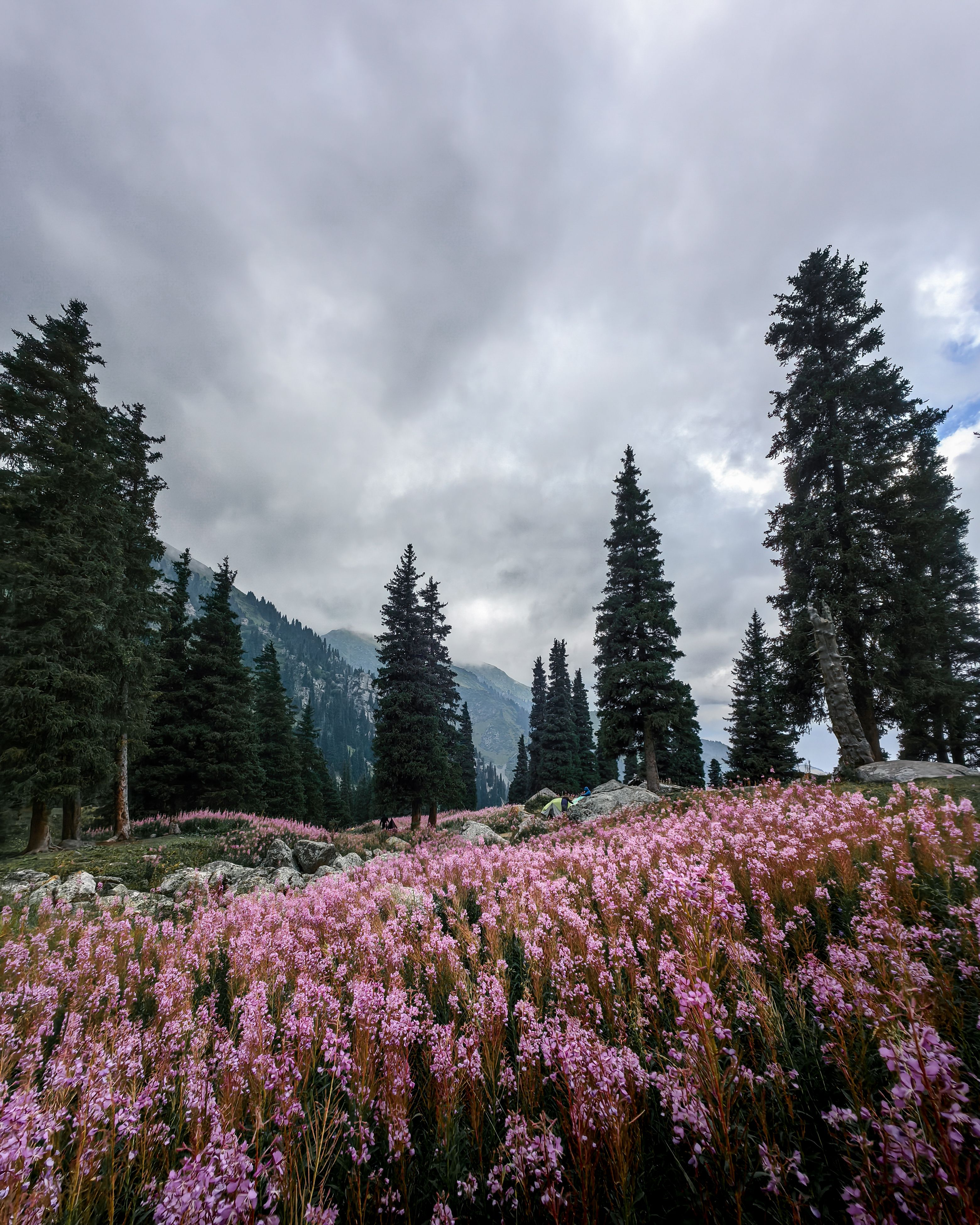 Alma-Arasan Gorge in the mountains of Almaty · Free Stock Photo