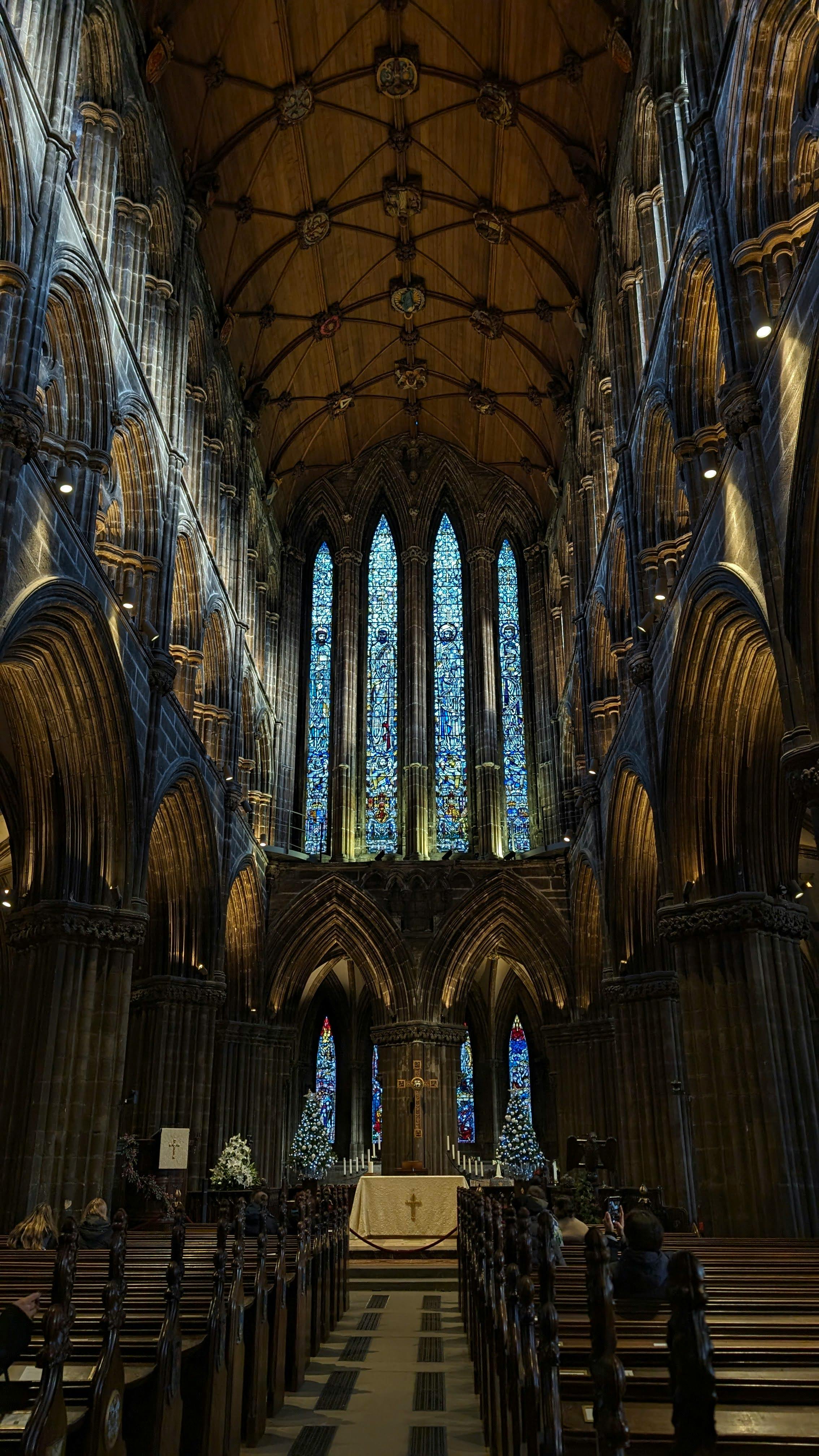 Hannah Thomson - 写真