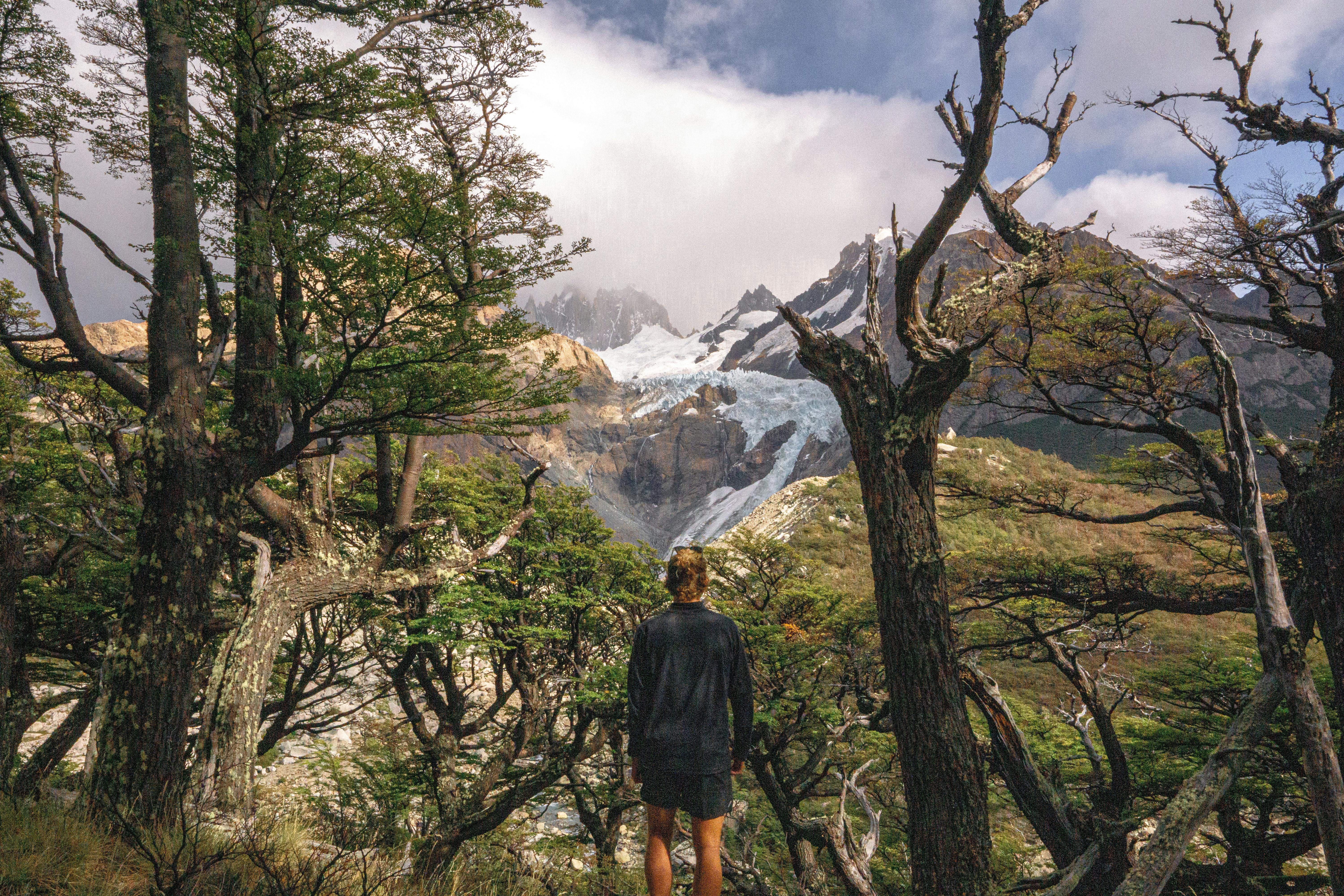 Back View of Woman Standing between Trees Overlooking Mountainous ...