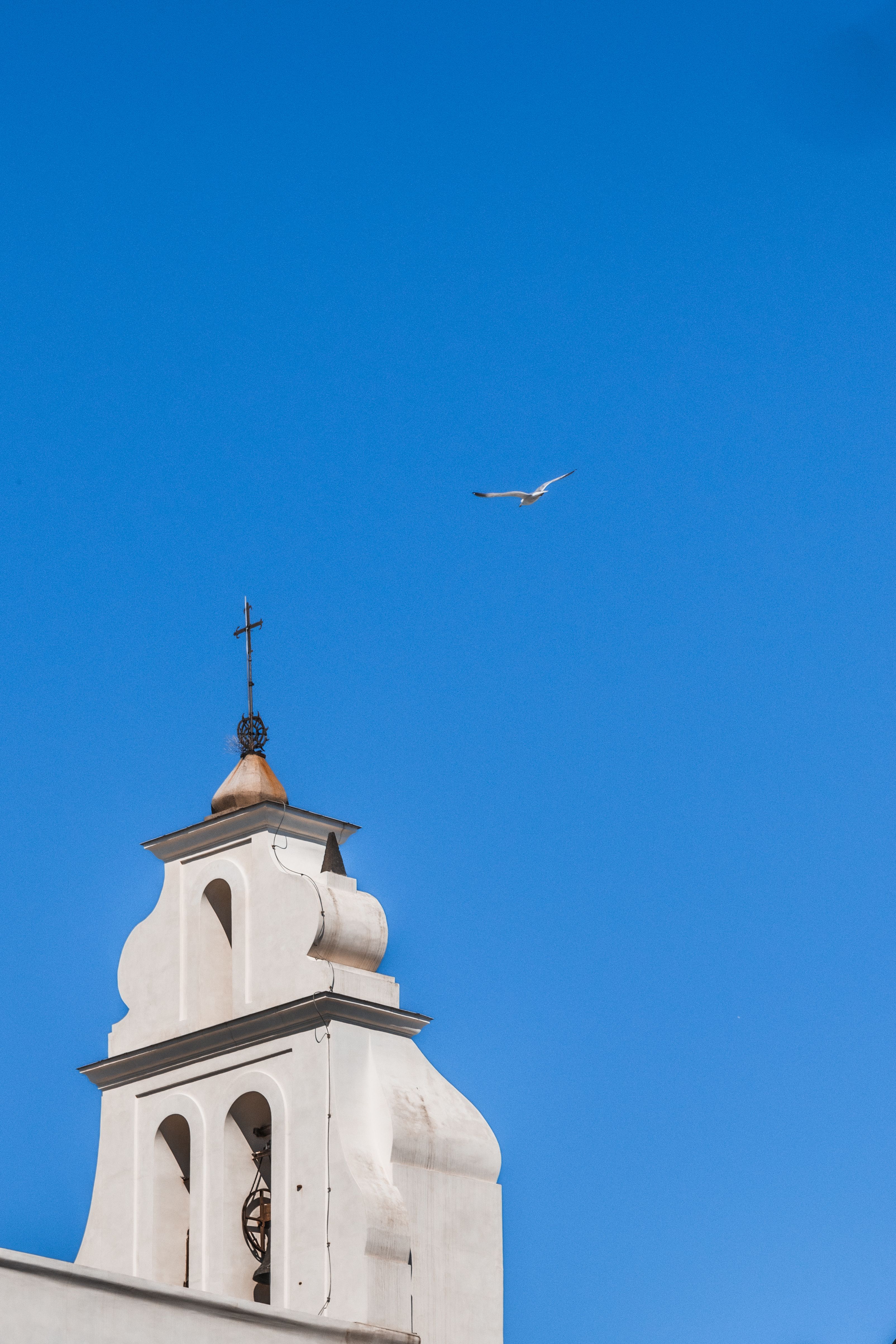 A bird flying over a church steeple · Free Stock Photo