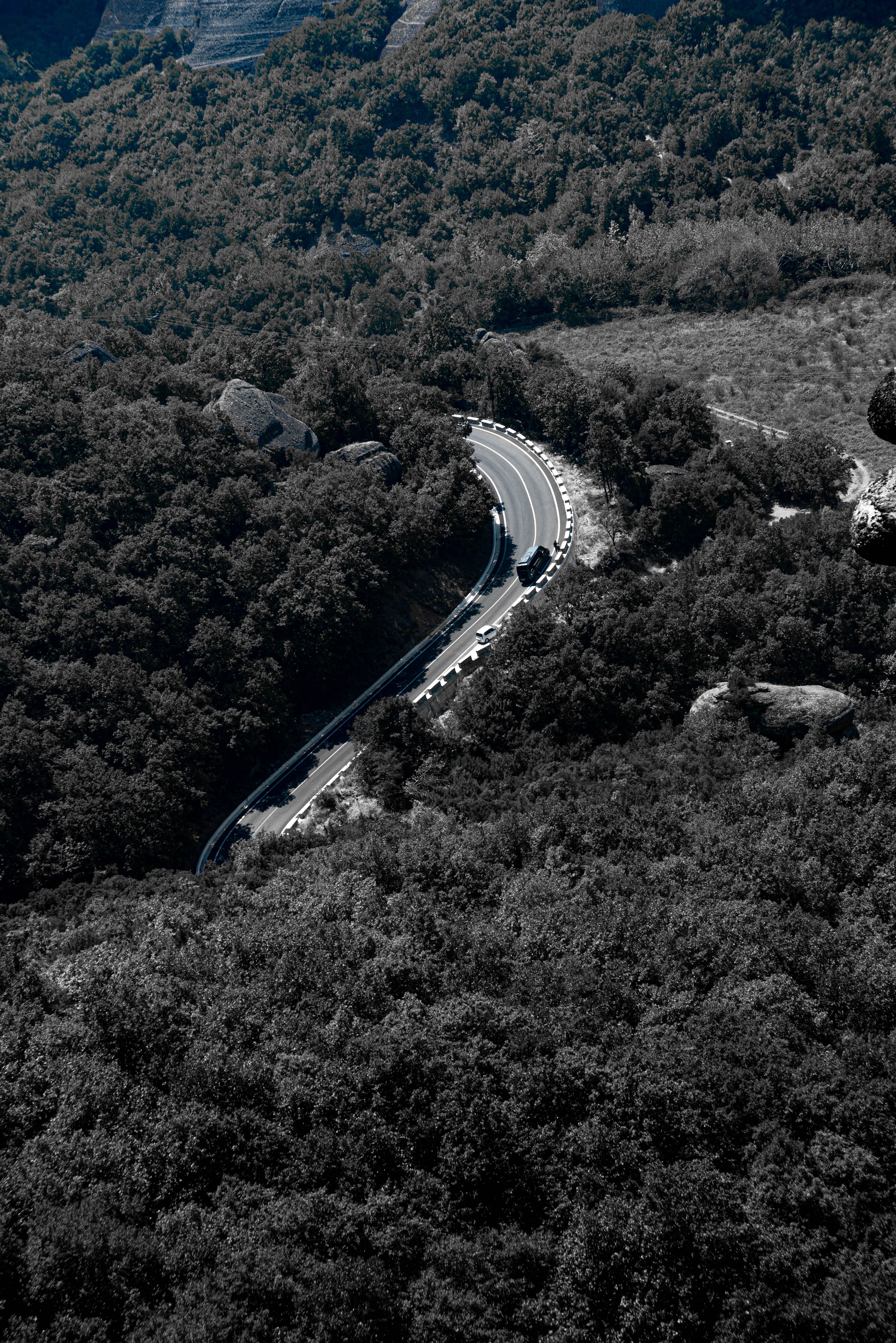 Road Curve on Hill in Forest · Free Stock Photo