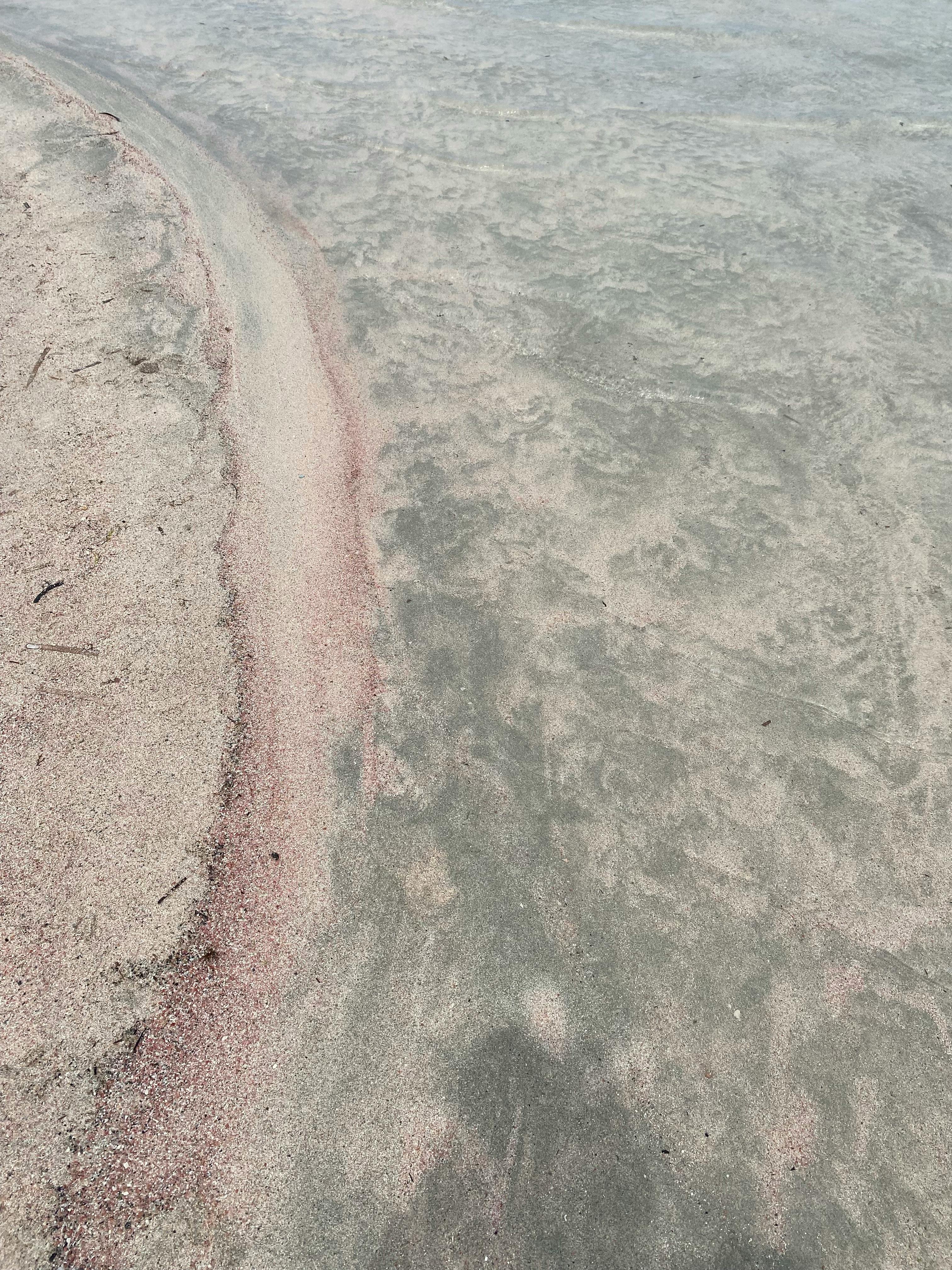 Rough Sand Texture Photos, Download The BEST Free Rough Sand Texture ...