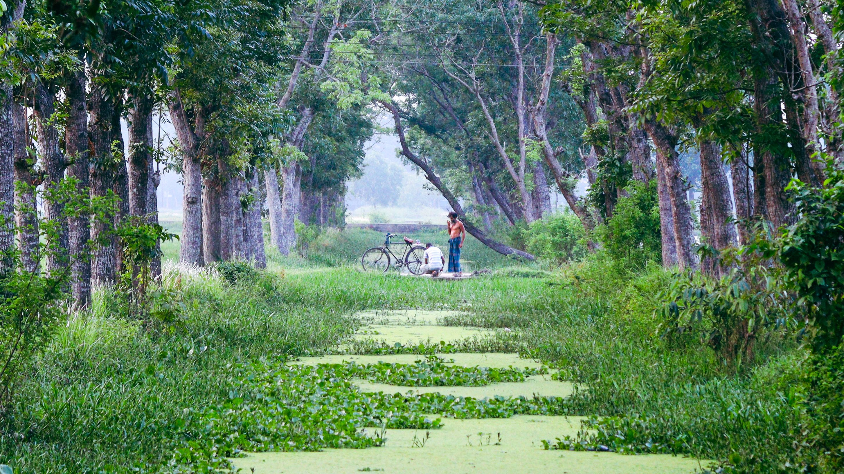 Two Men with a Bicycle Standing in a Green Forest · Free Stock Photo
