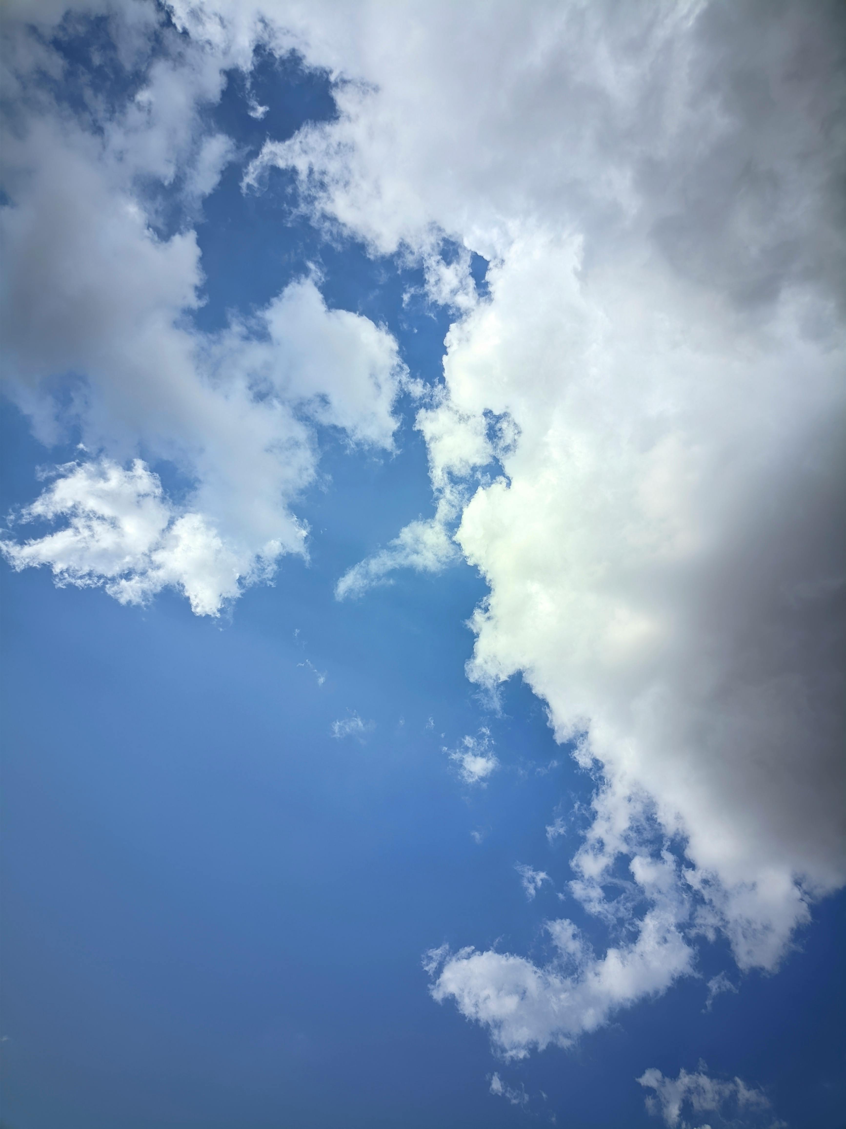 UDAY PREM SAGAR - Photography