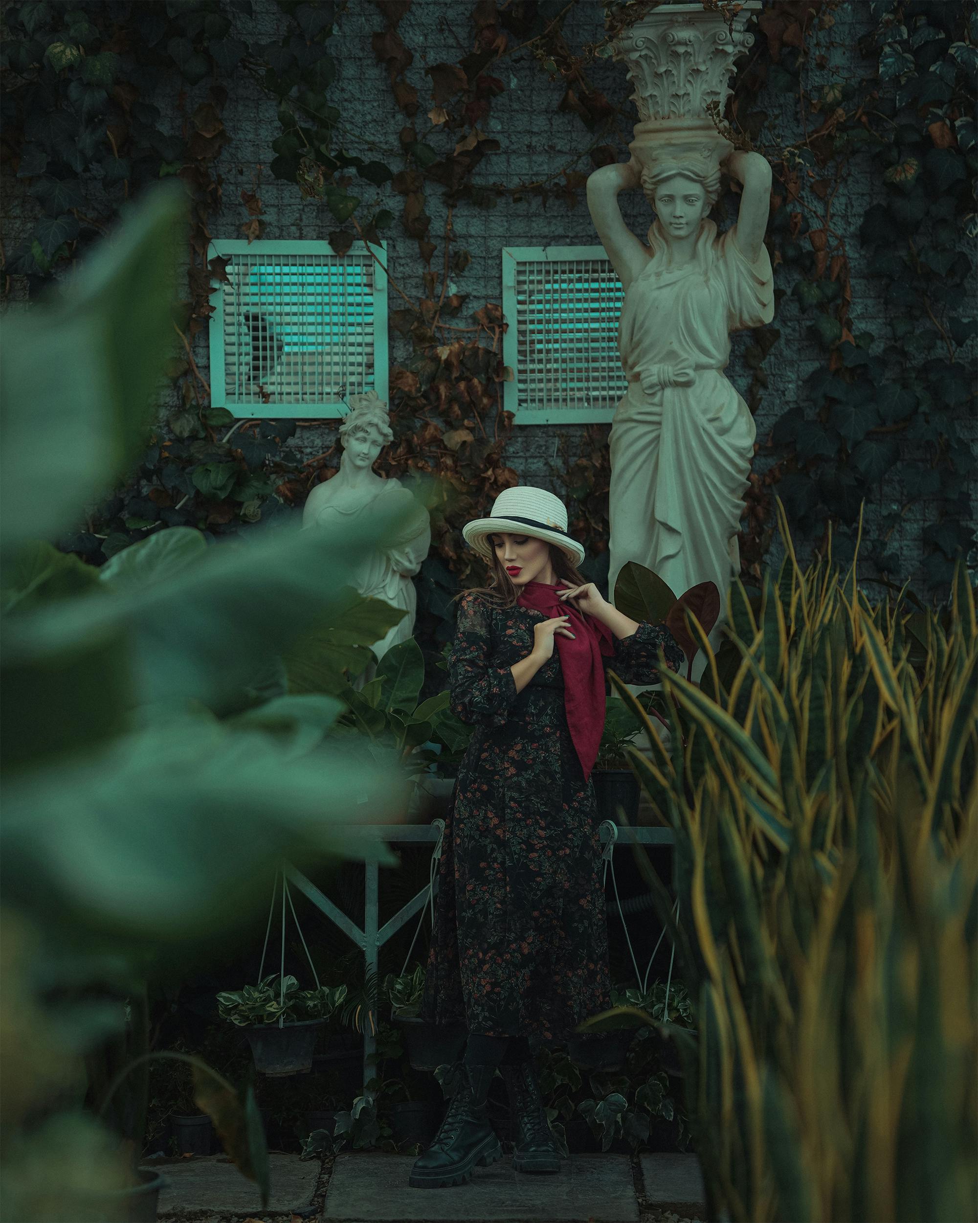 Grow · Free Stock Photo