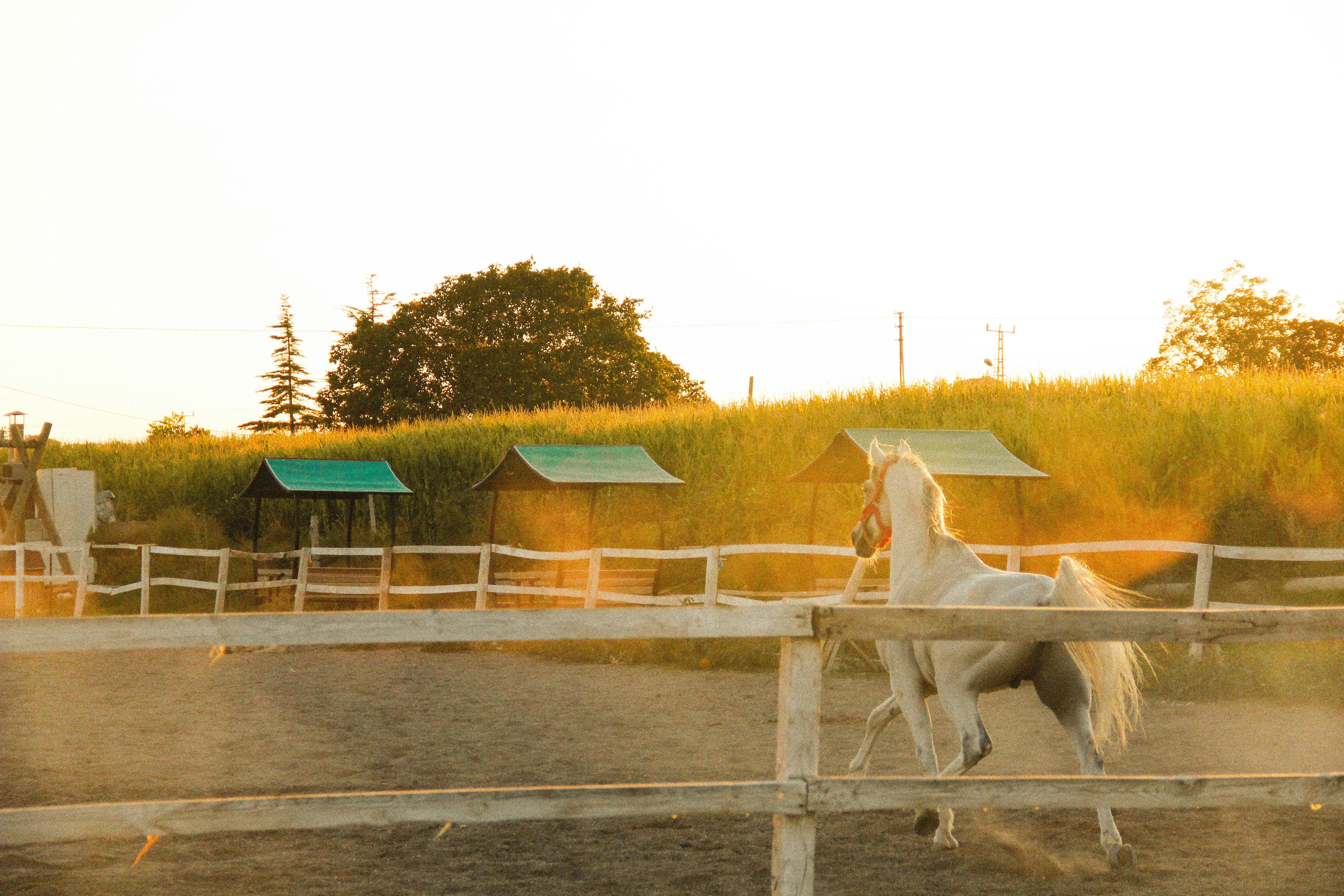 Animated Sunset Photos, Download The BEST Free Animated Sunset Stock ...