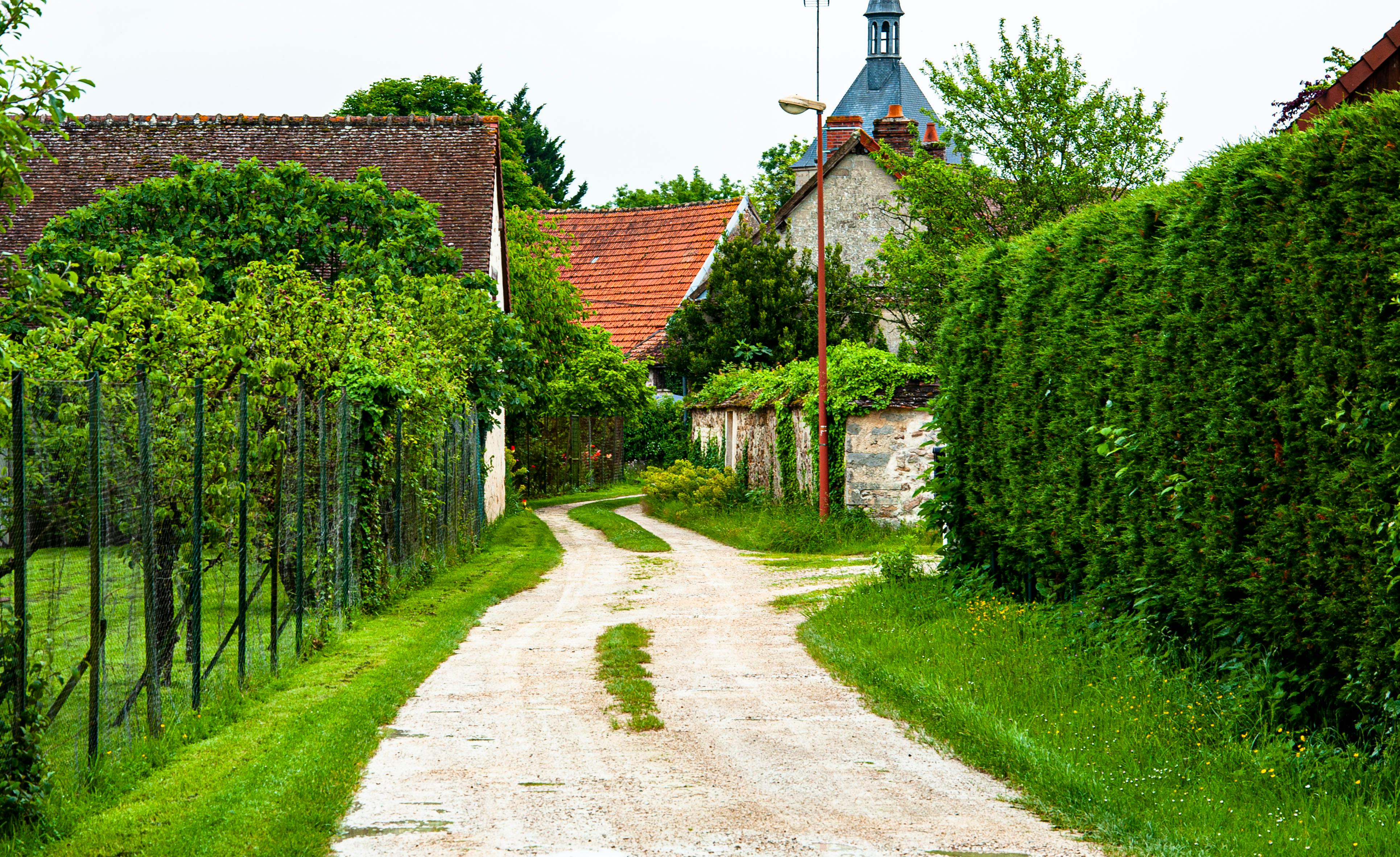 有关grand est, nature, travel, village, 住宅, 傳統, 勘探, 和平的, 围栏, 塞纳河畔诺让, 夏天 ...