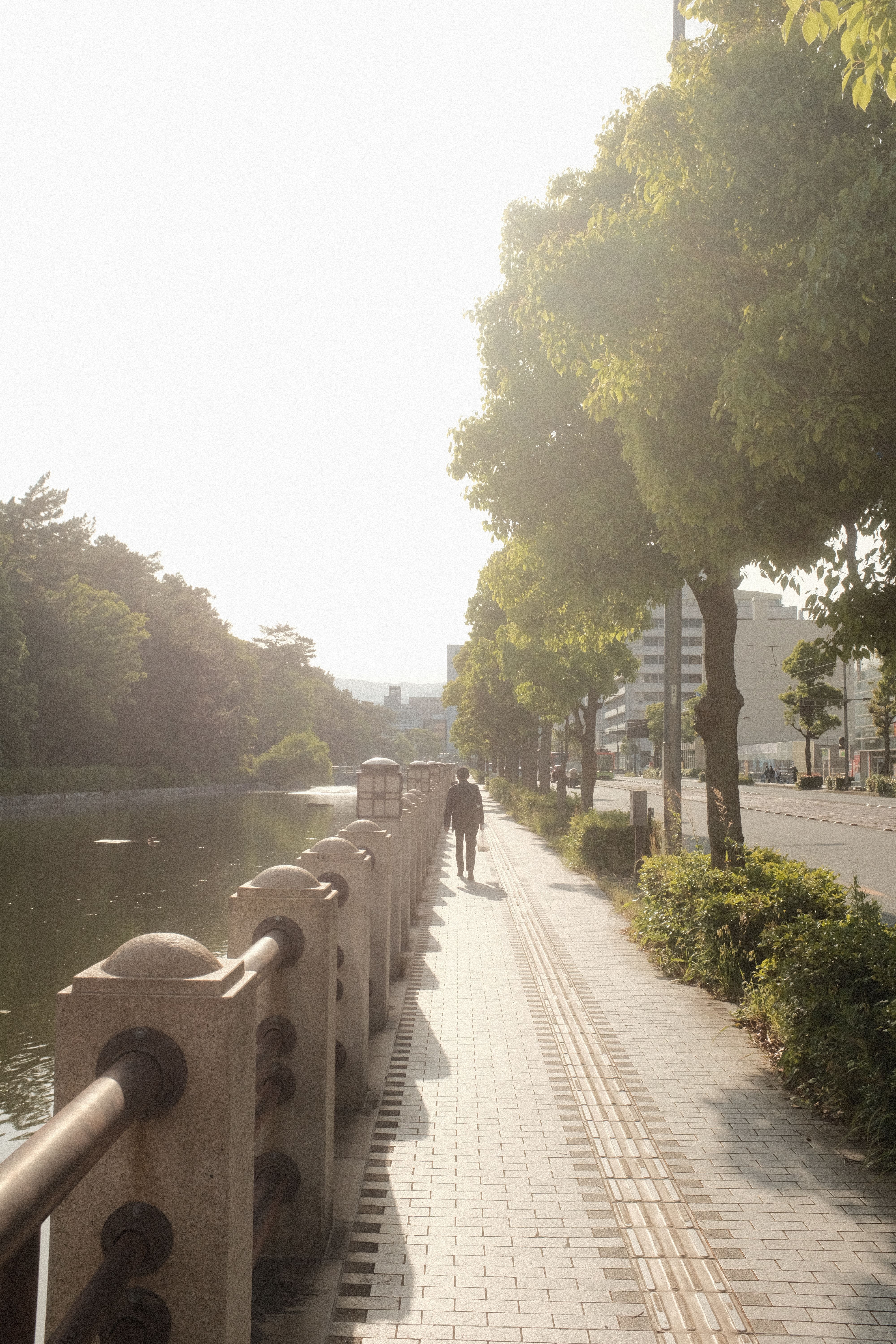 Man Walking by the Canal in Sunlight · Free Stock Photo