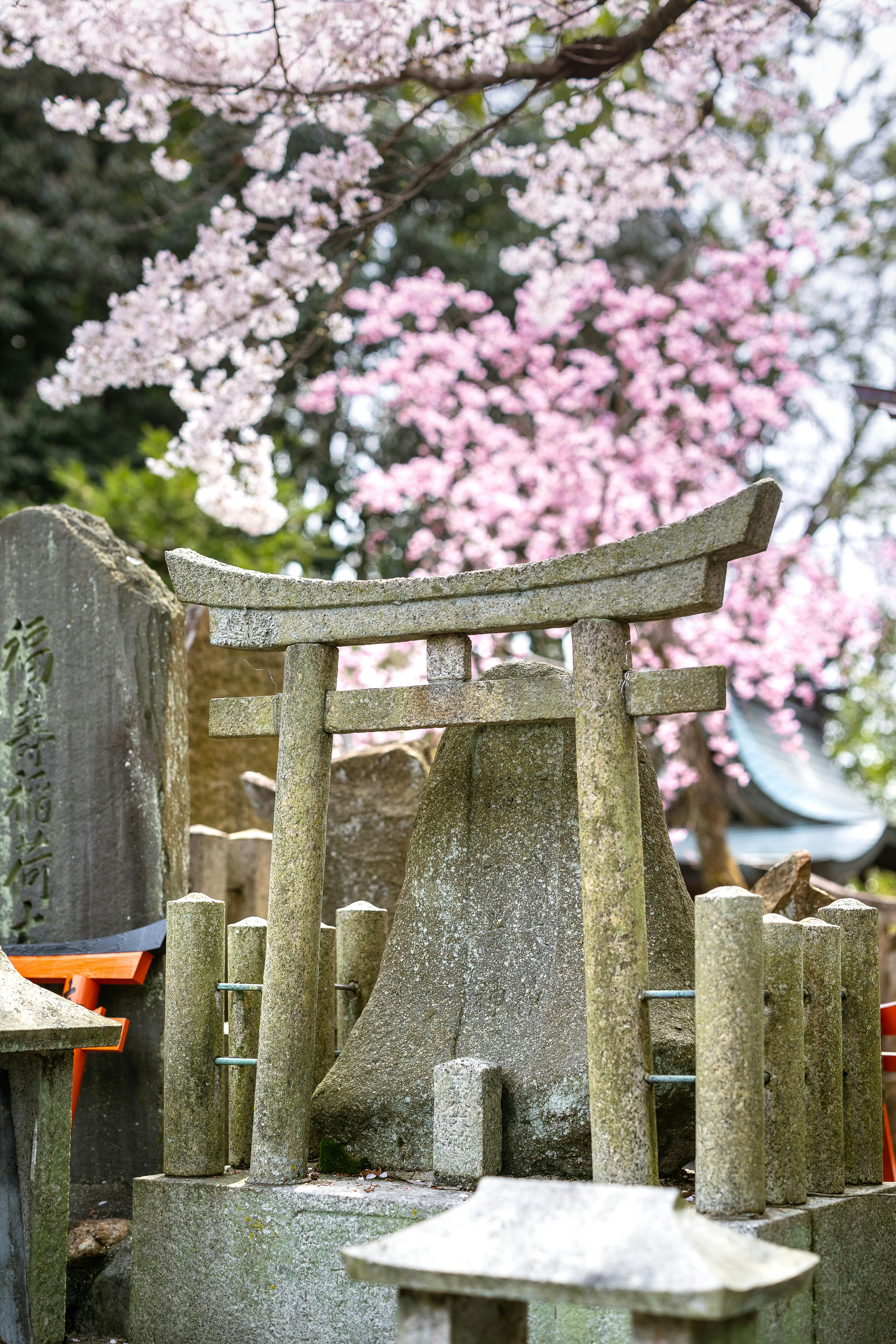 Shinto Gate Decoration · Free Stock Photo