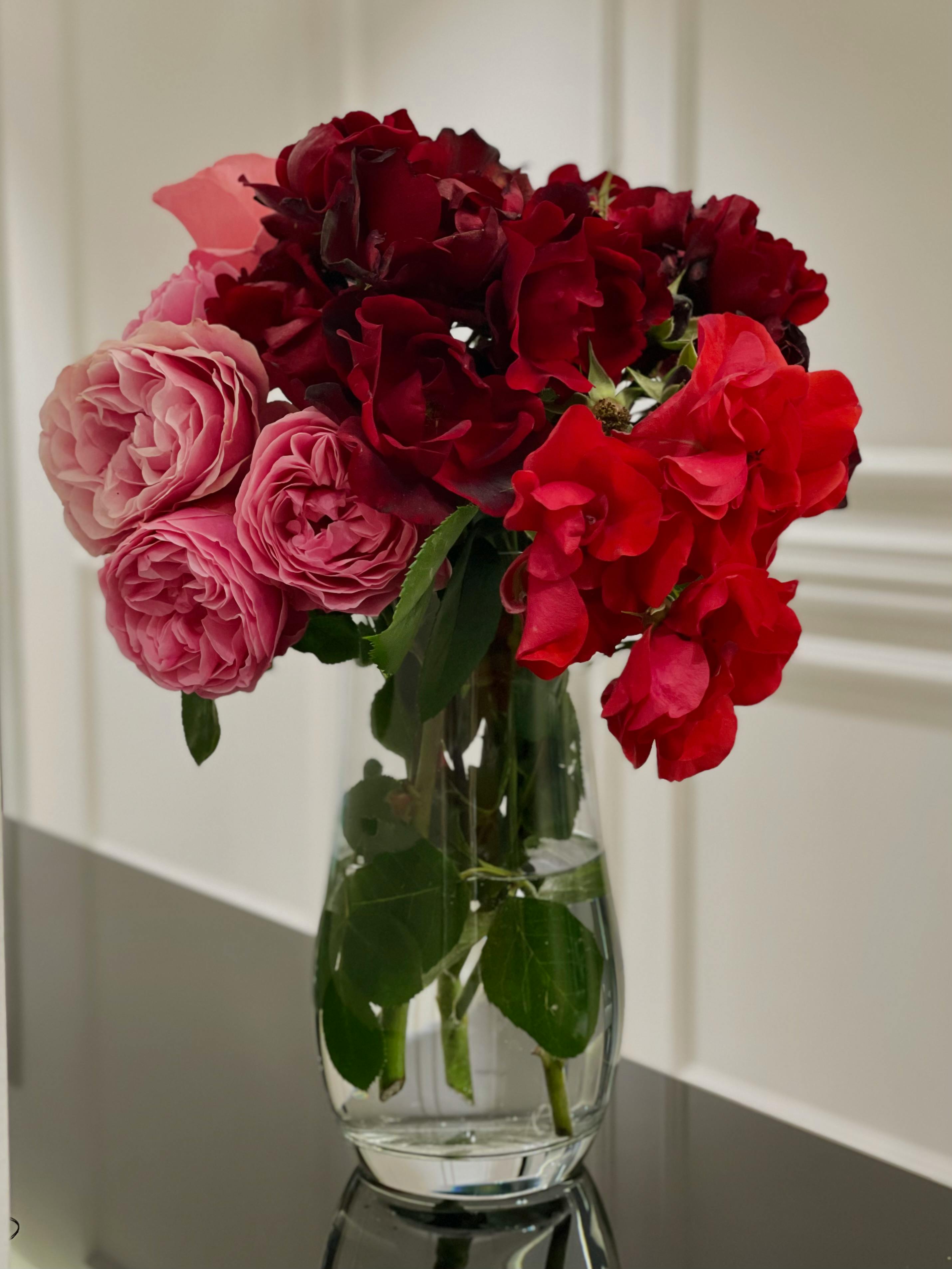 Red Rose on Clear Glass Vase · Free Stock Photo