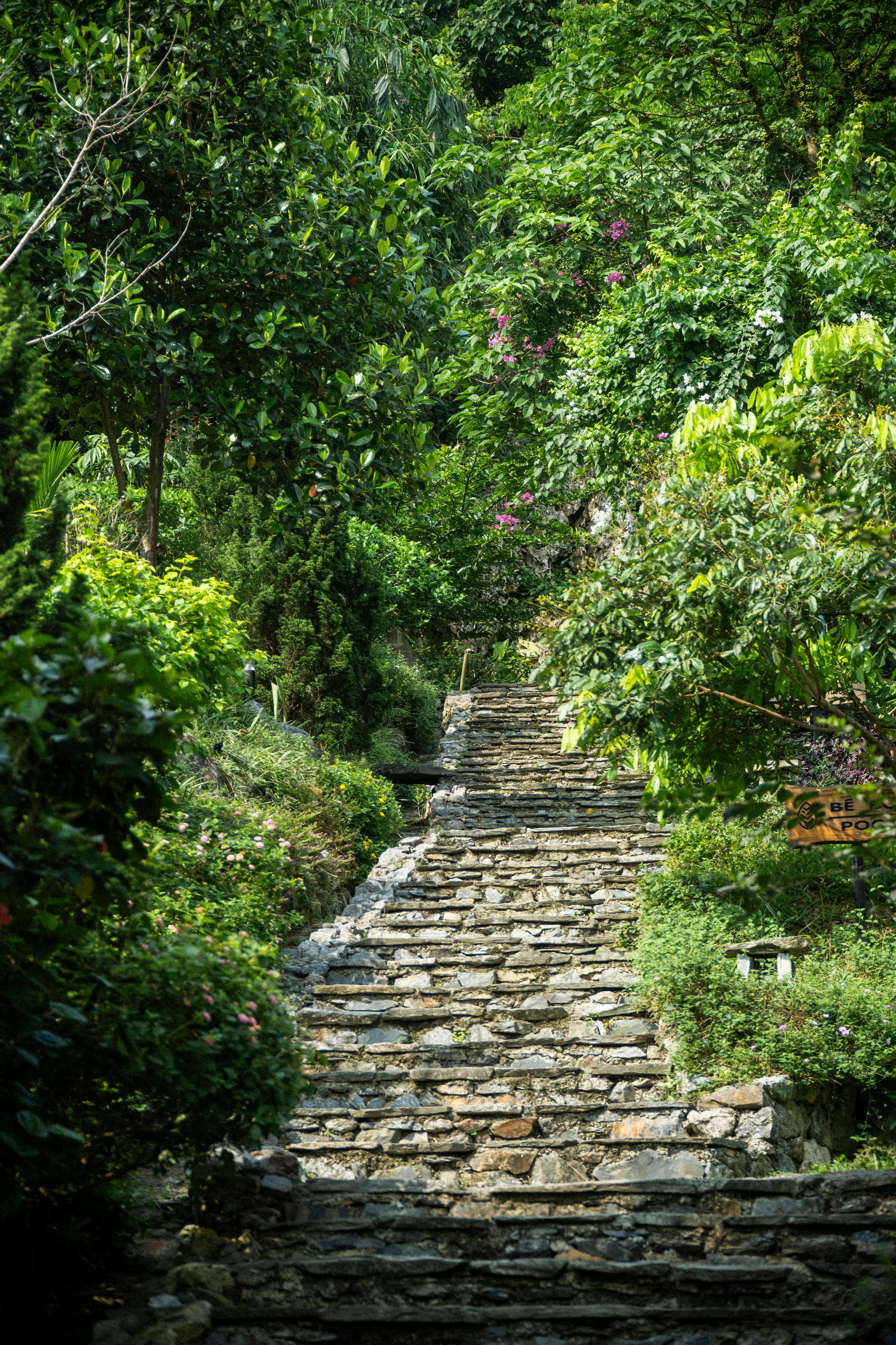 Steps in a Park · Free Stock Photo