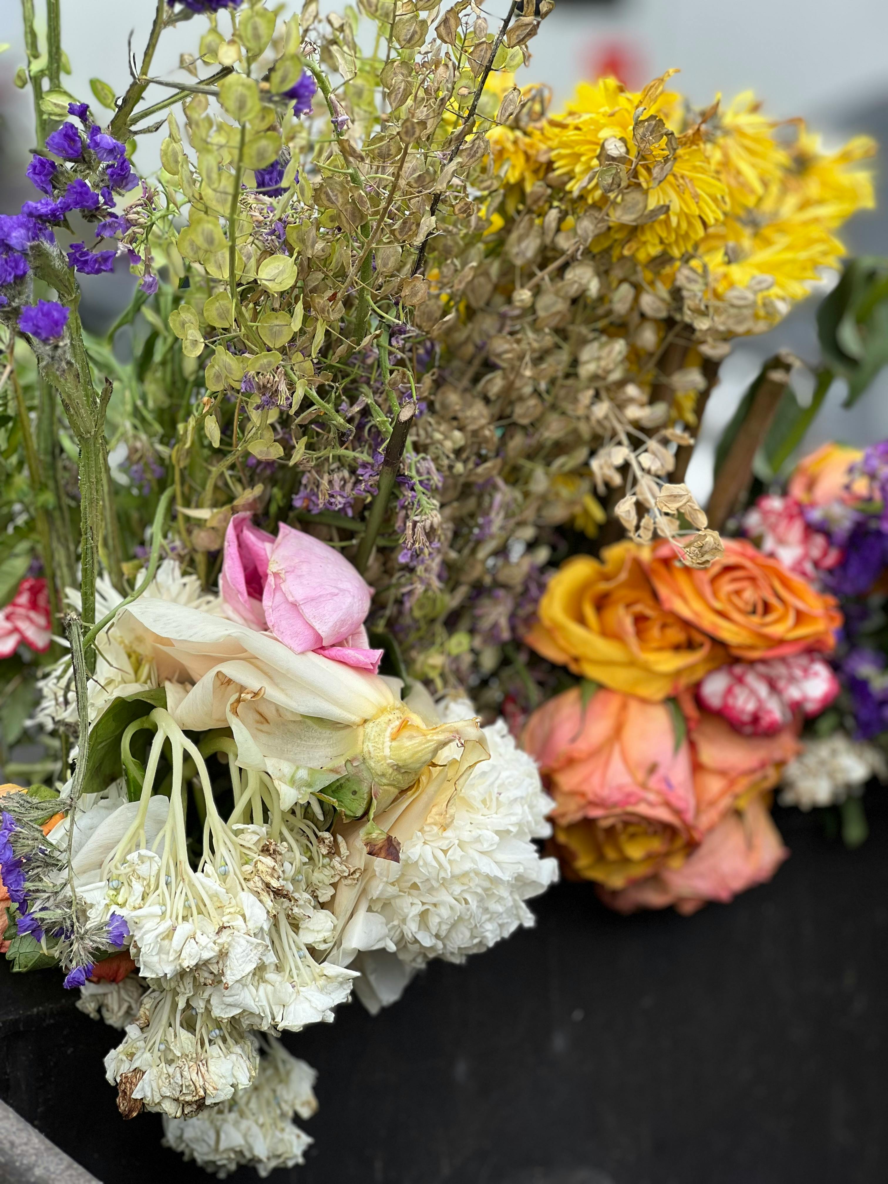 compost flowers · Free Stock Photo