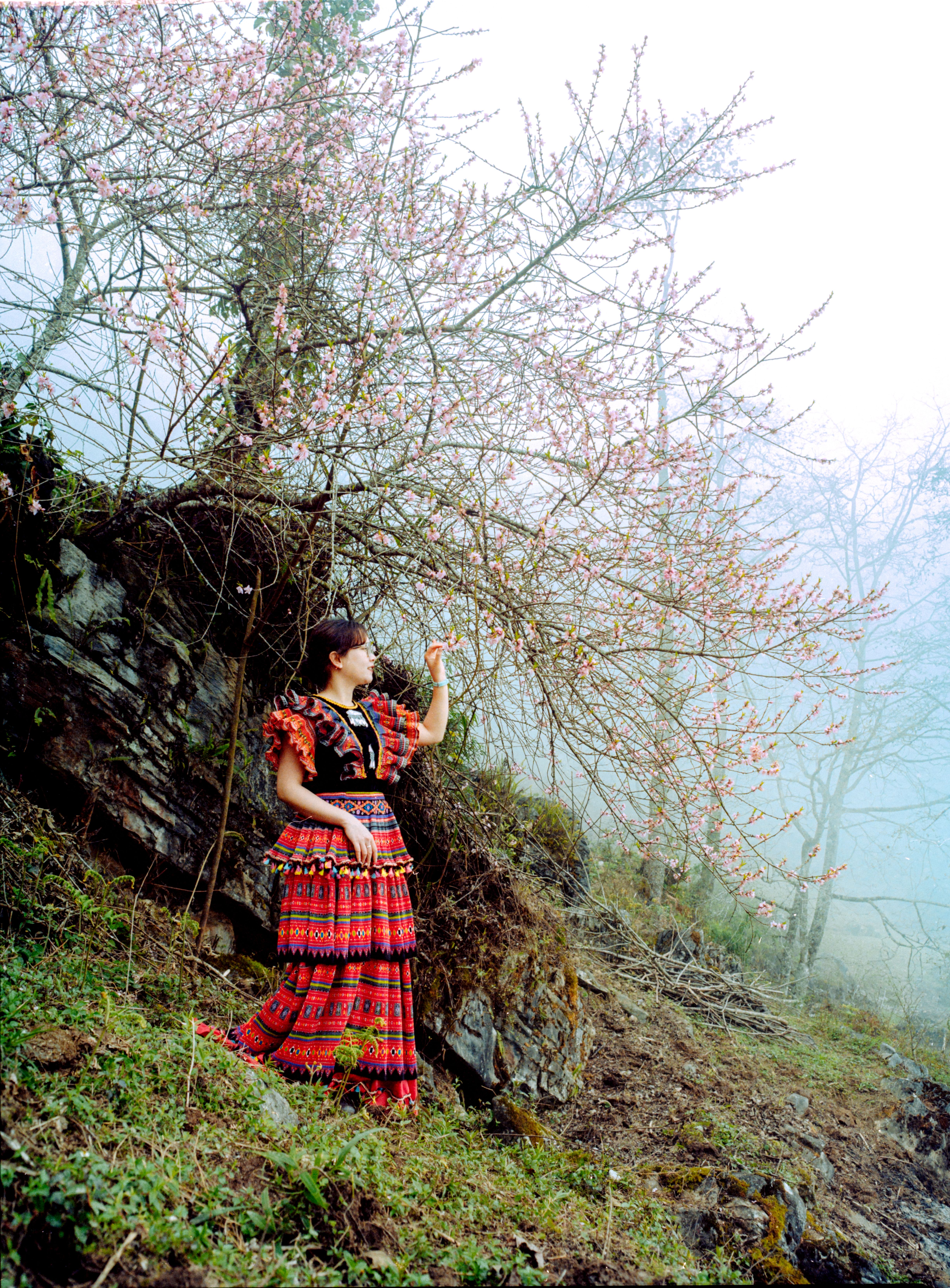 Woman in Folk Costume Standing in Field · Free Stock Photo
