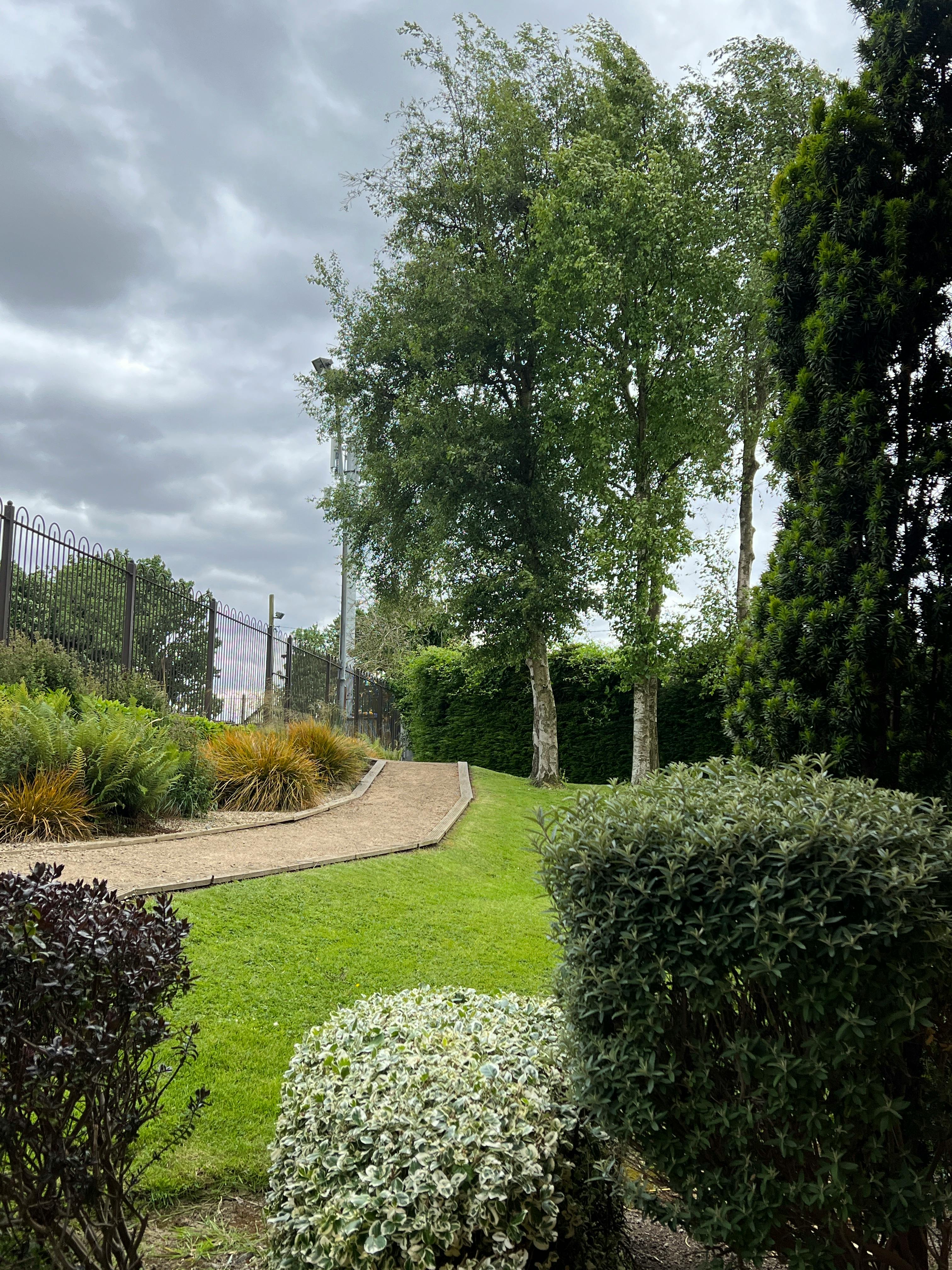 Iain Andrew – Fotografia