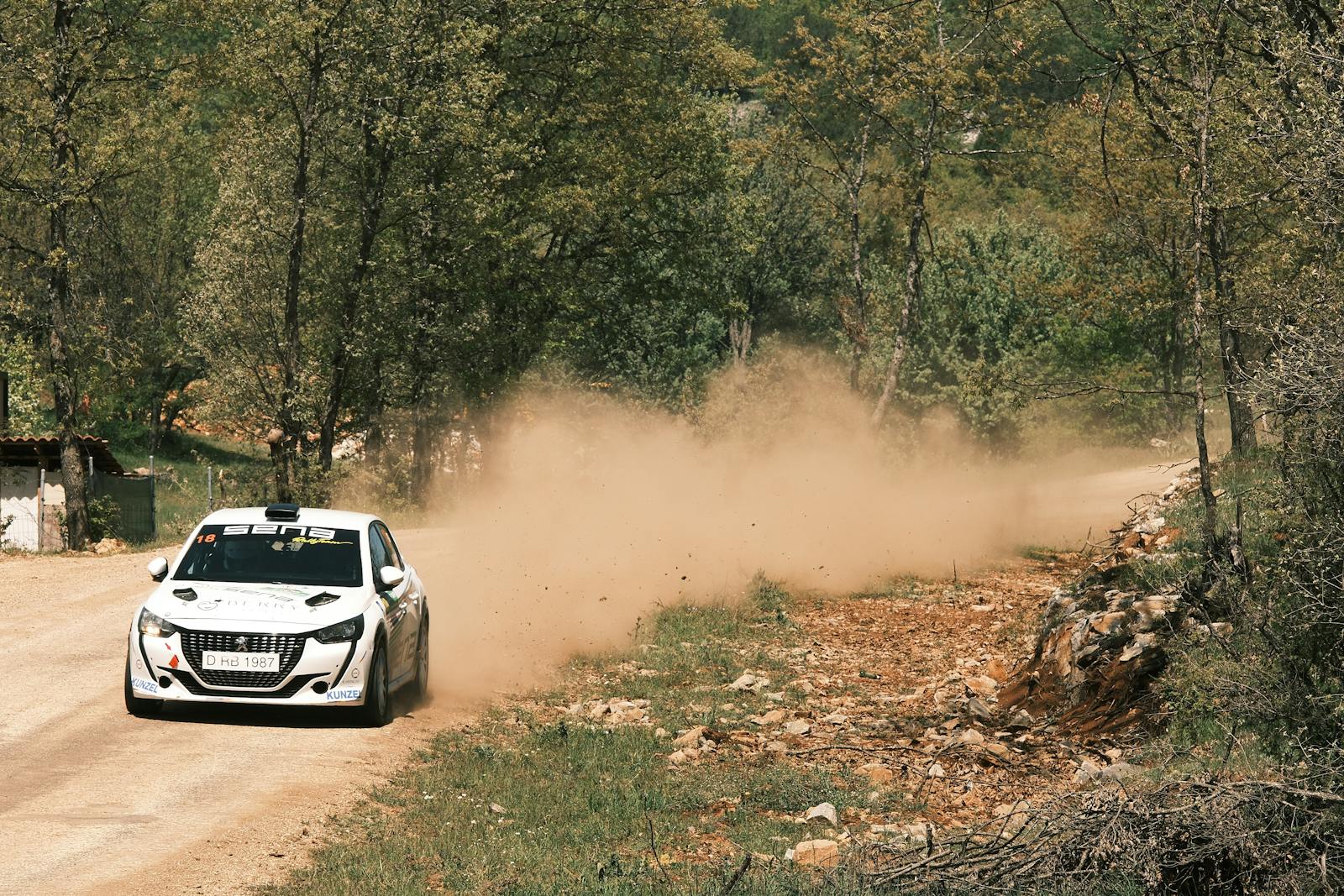 Rally Car Photos, Download The BEST Free Rally Car Stock Photos & HD Images