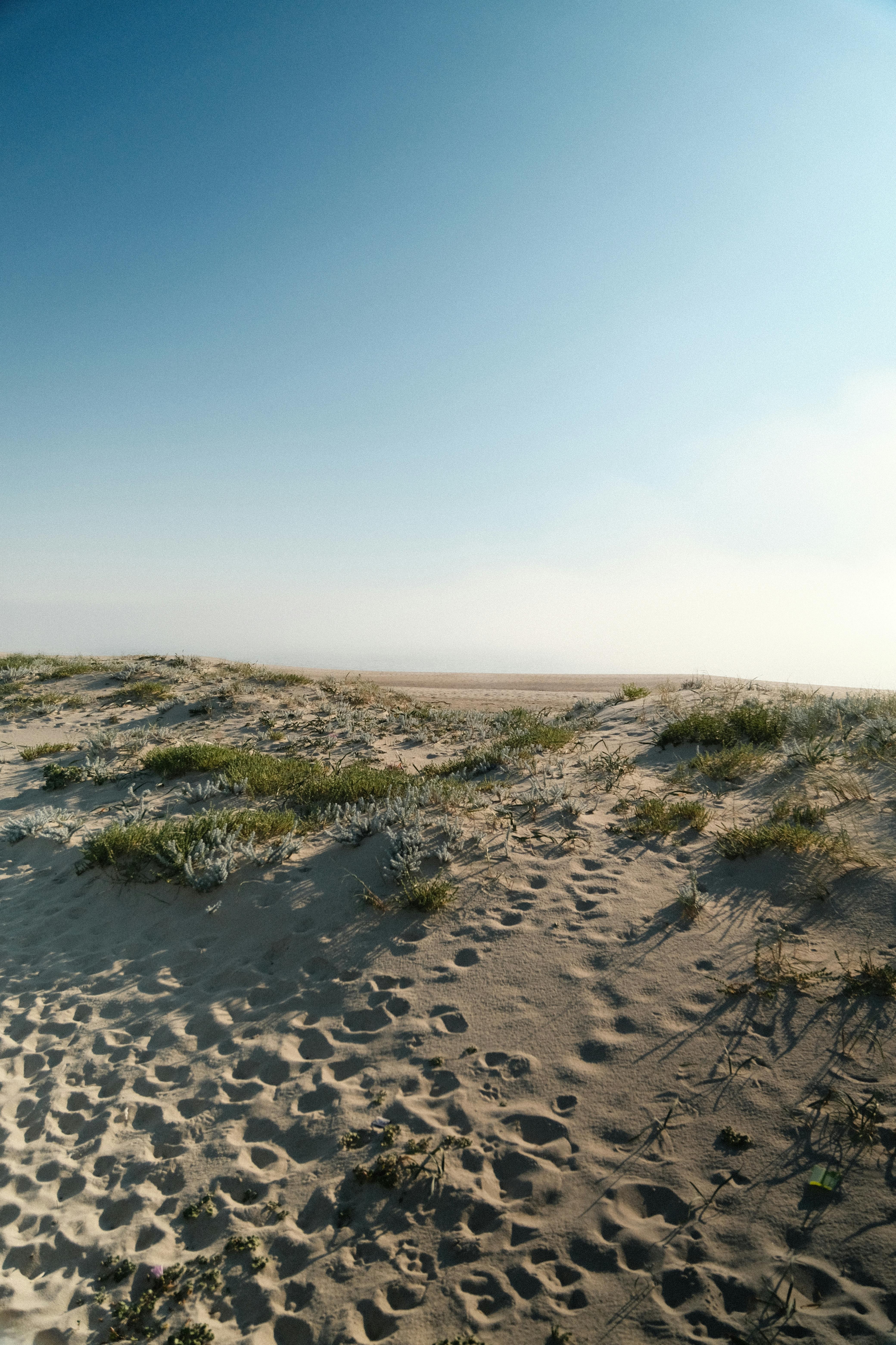 Photo of Huts on a Beach · Free Stock Photo