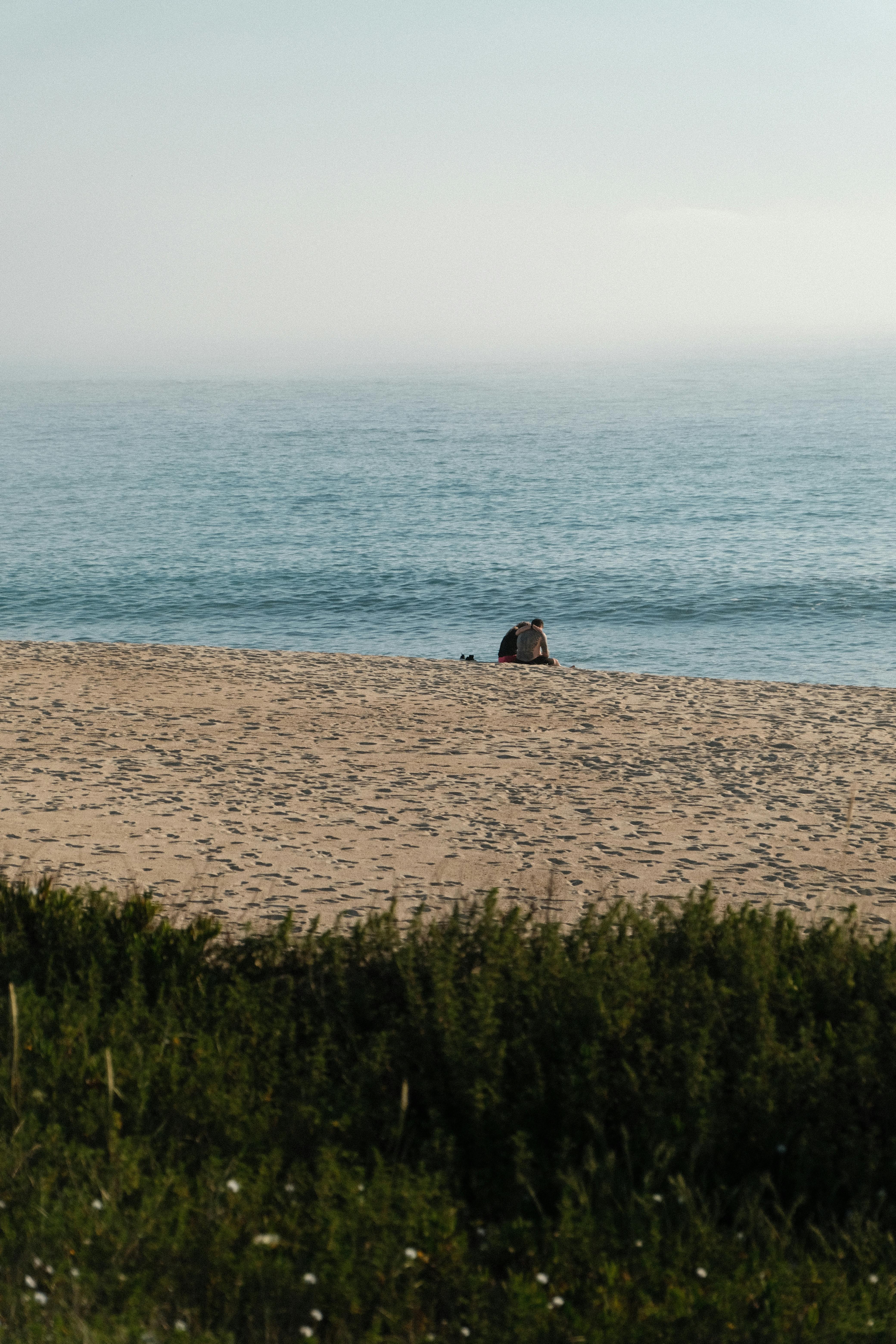 Person Sitting on Beach by Sea Shore · Free Stock Photo