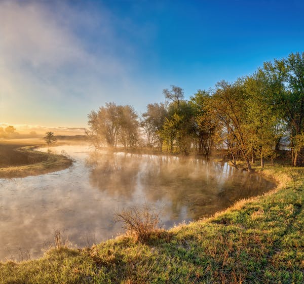 Autumn Trees Photos, Download The BEST Free Autumn Trees Stock Photos ...