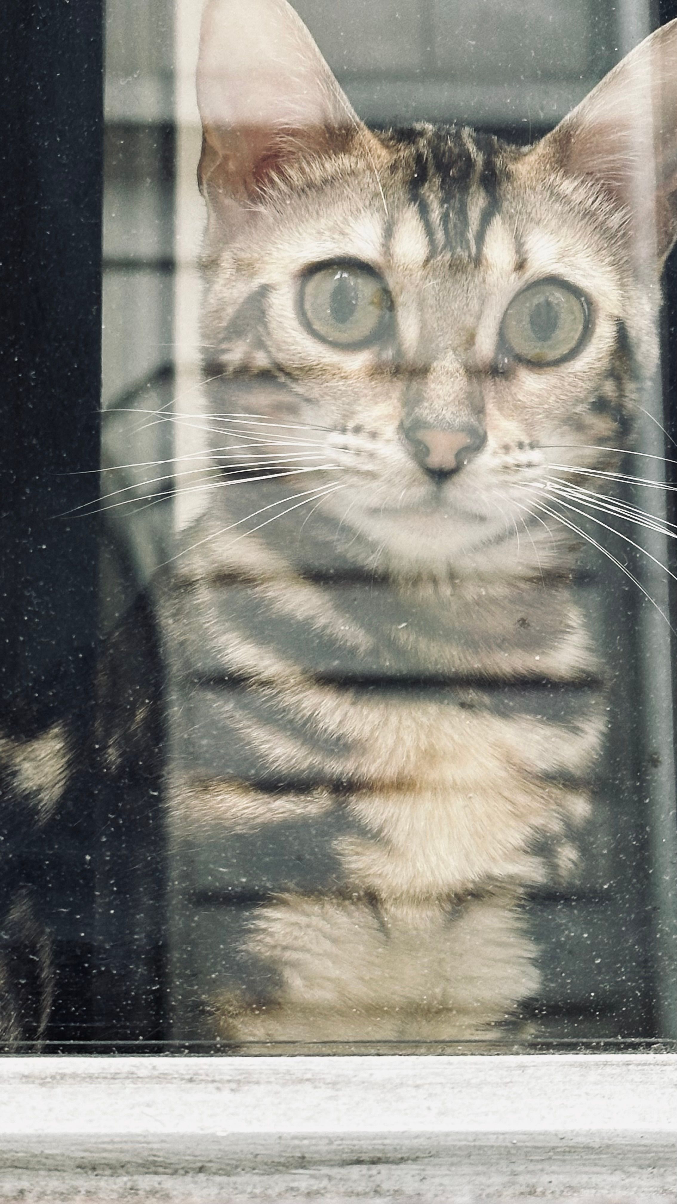Hello · Free Stock Photo