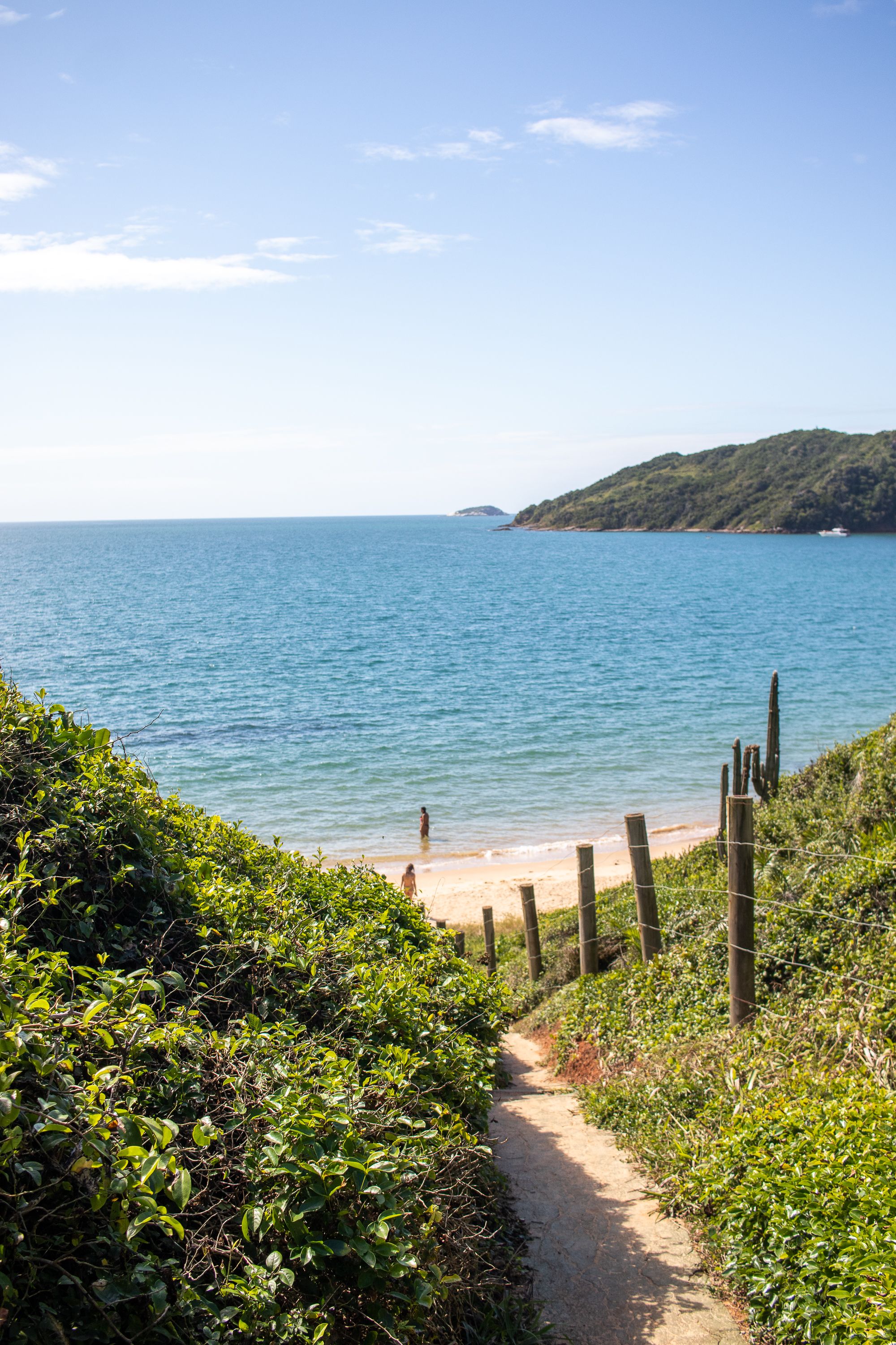 Footpath in Bay on Sea Shore · Free Stock Photo