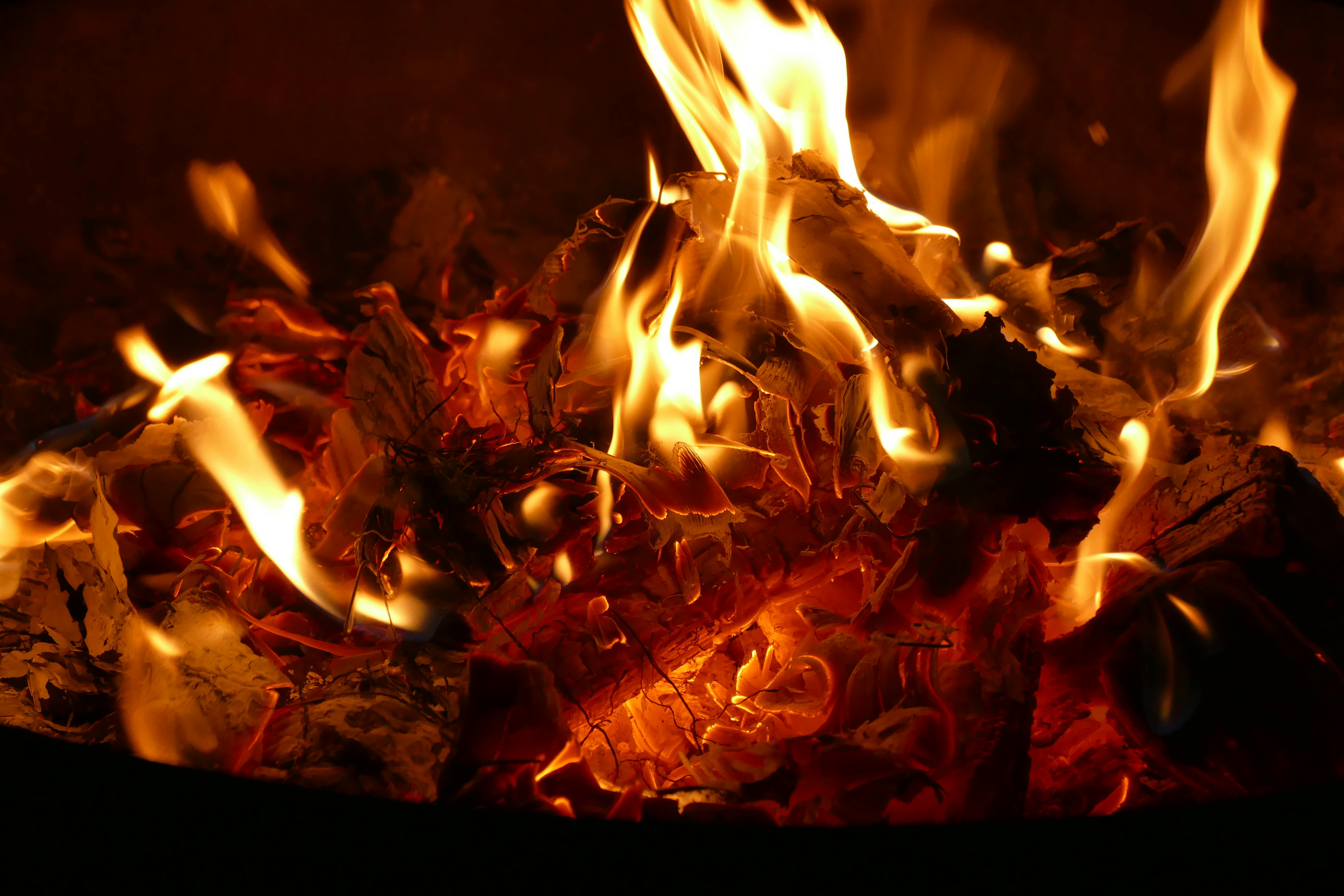 Close up of Burning Bonfire · Free Stock Photo