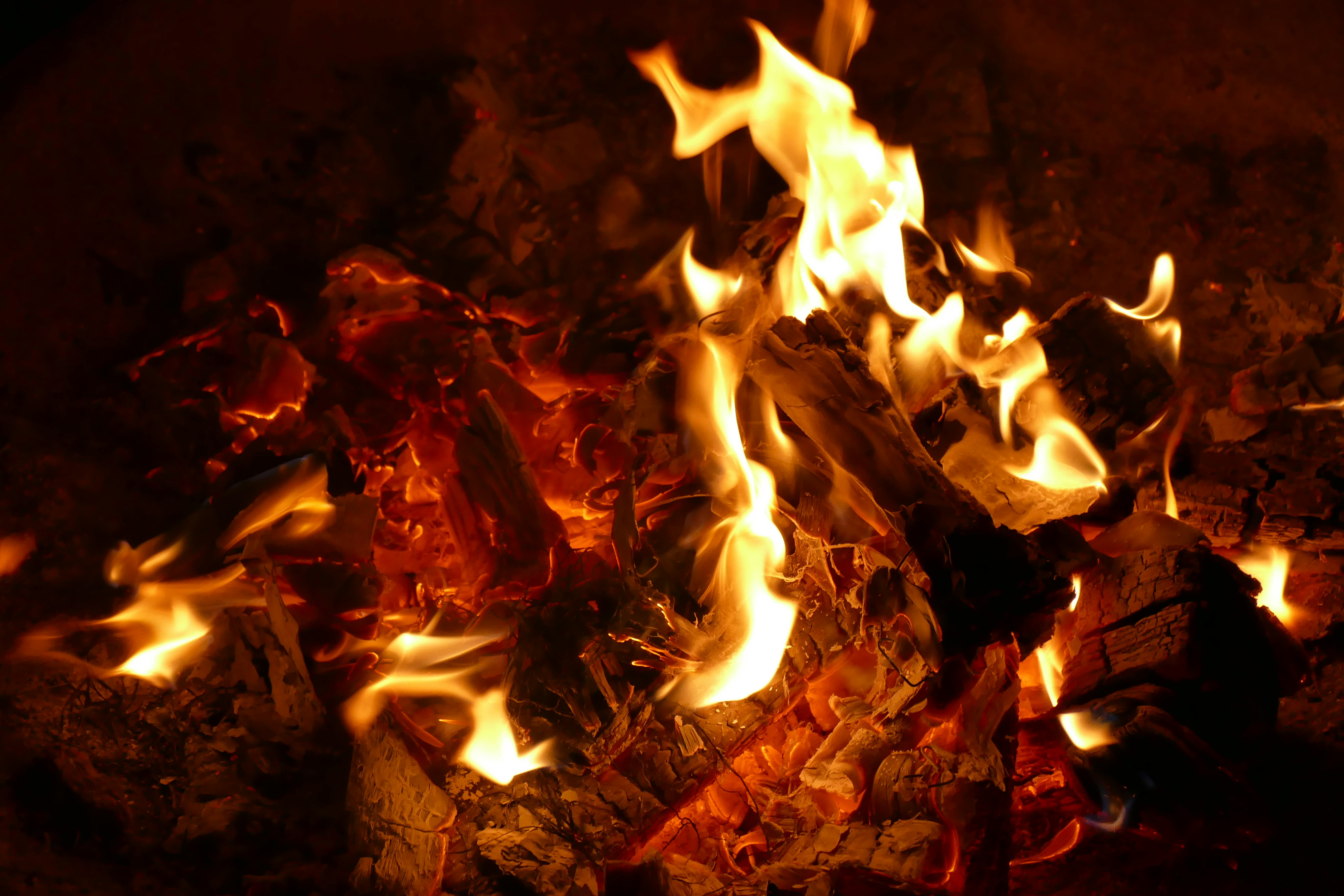 Fire in Bonfire · Free Stock Photo