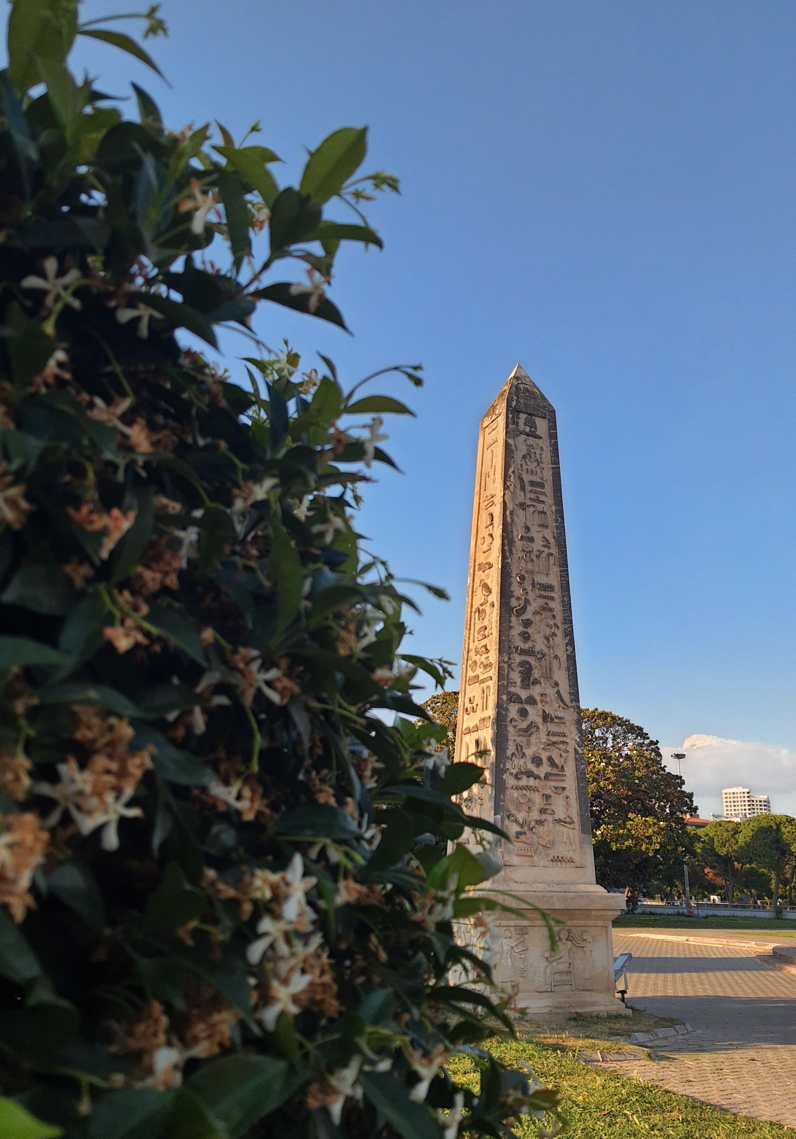 Obelisk and Jasmine Shrub in the Park · Free Stock Photo