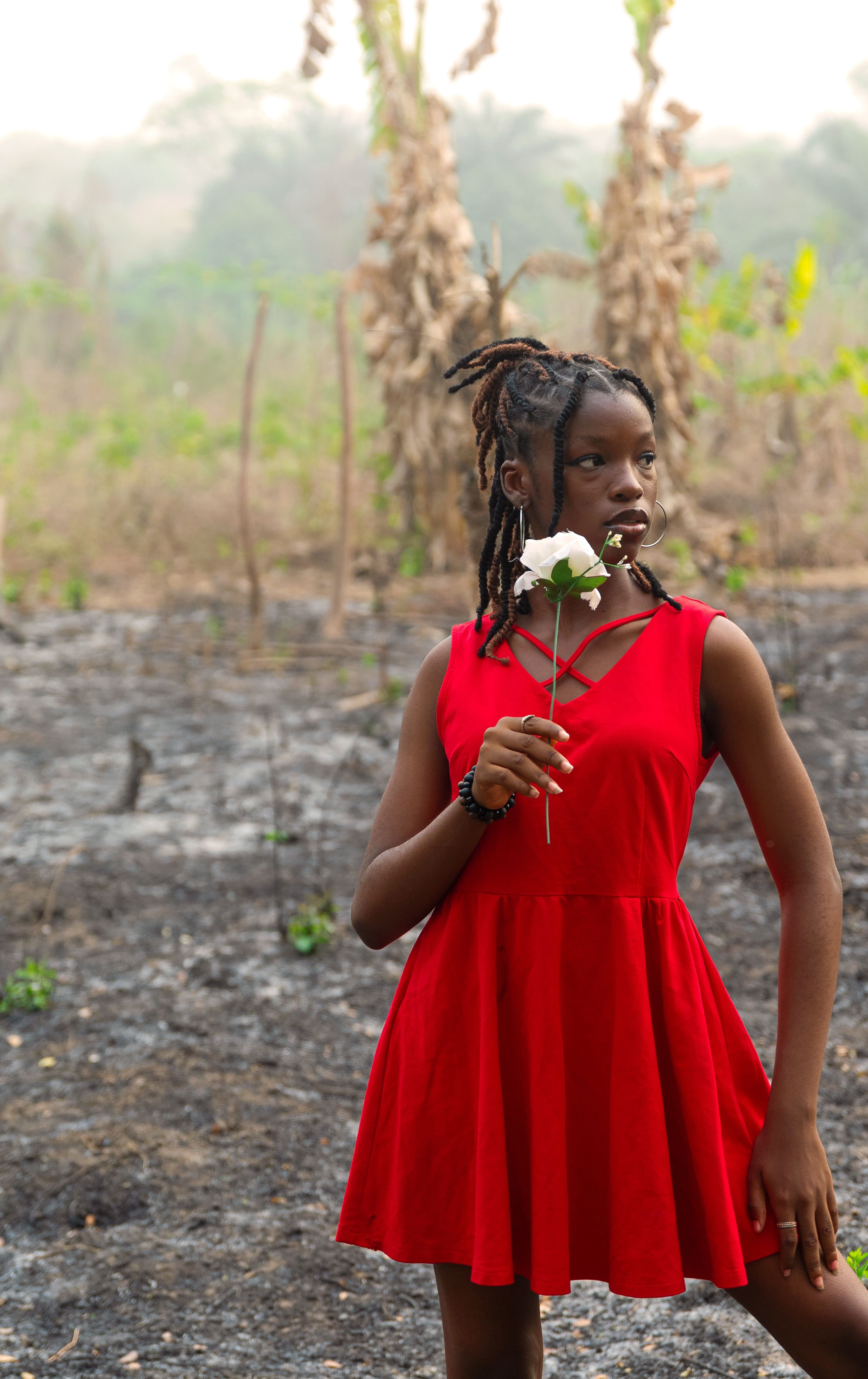 Flora Ogun Photos, Download The BEST Free Flora Ogun Stock Photos & HD ...