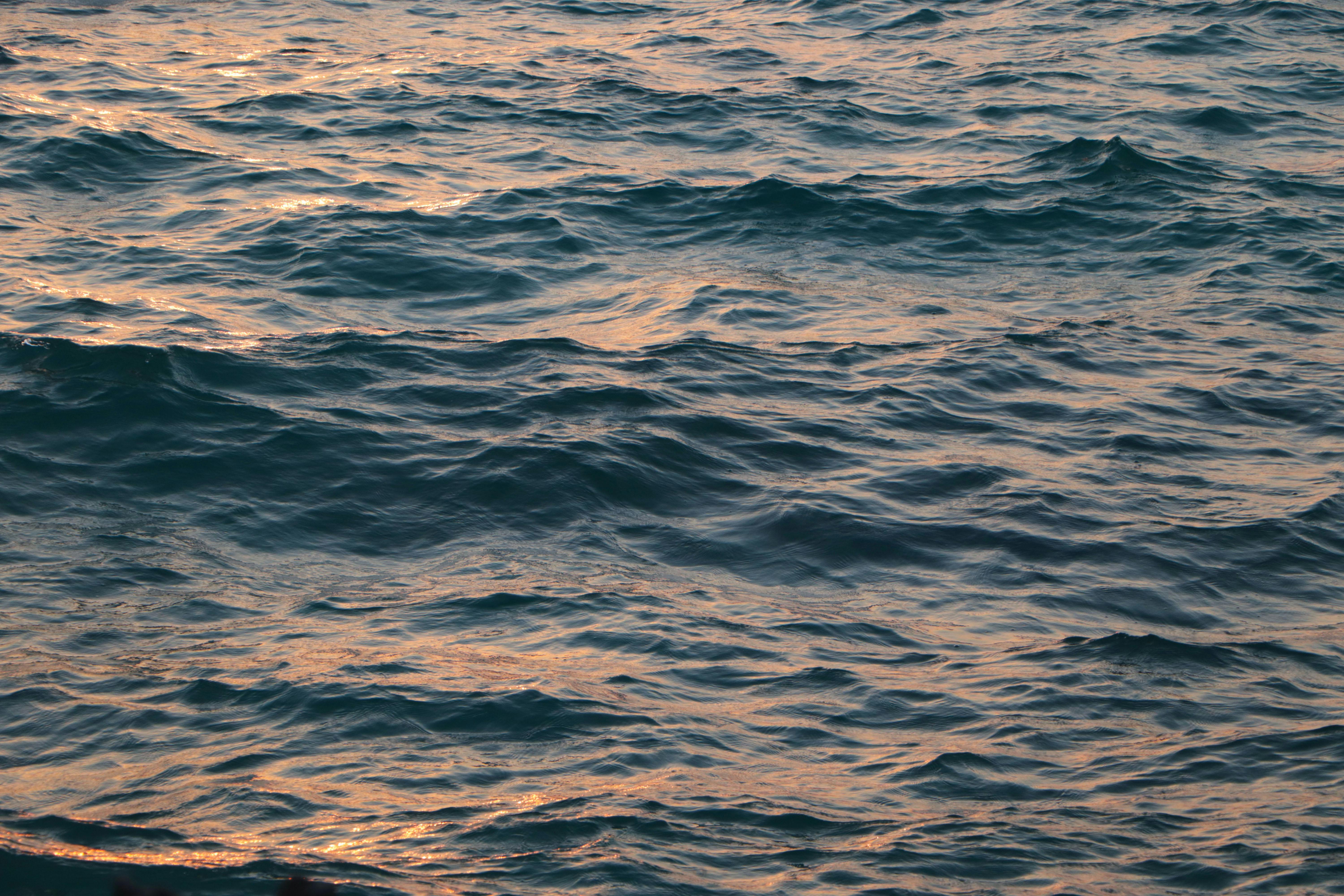 Wavy Sea Water · Free Stock Photo