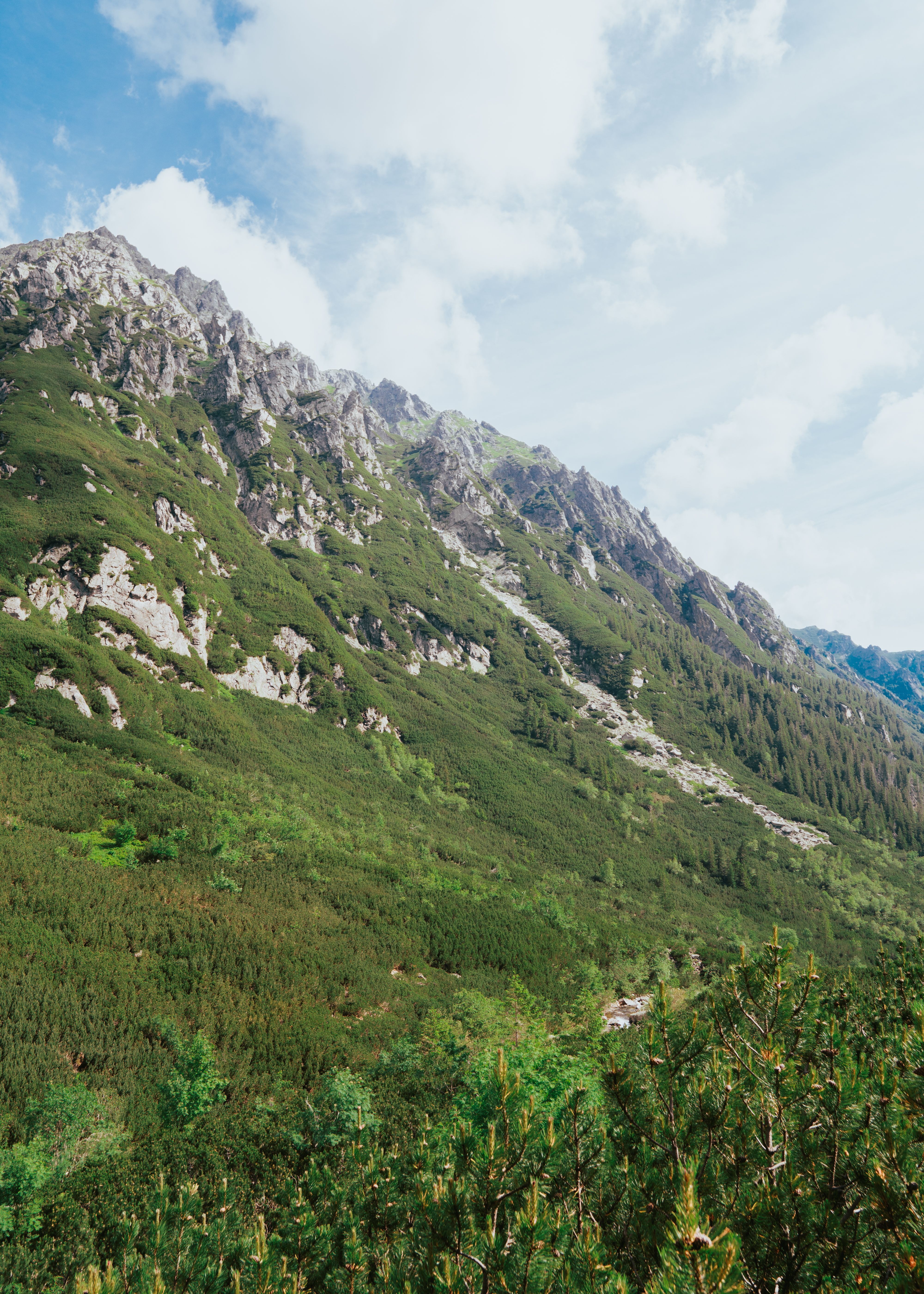 Steep Slope in Summer · Free Stock Photo