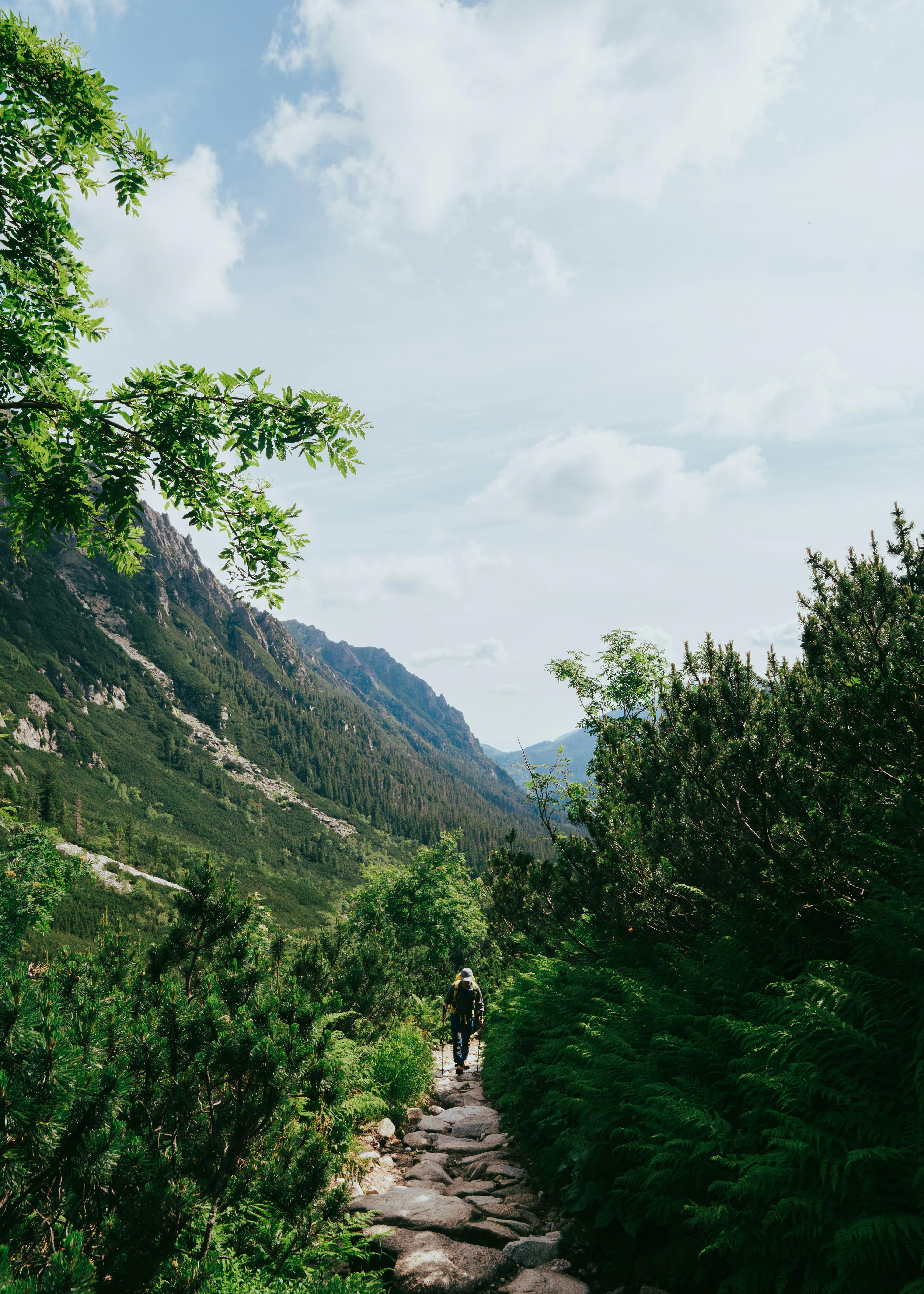 A person walking down a path in the mountains · Free Stock Photo