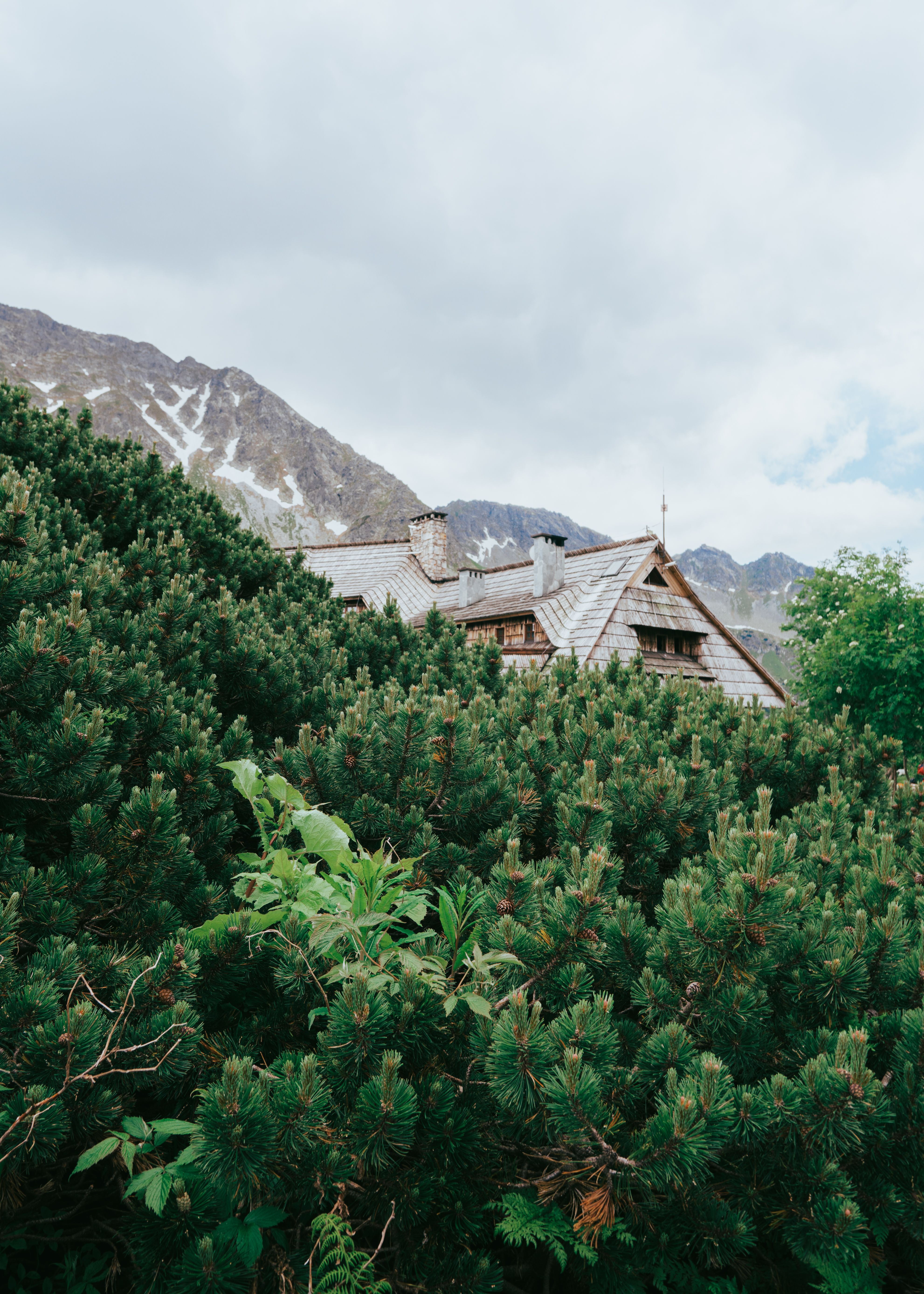 A Building in a Forest · Free Stock Photo