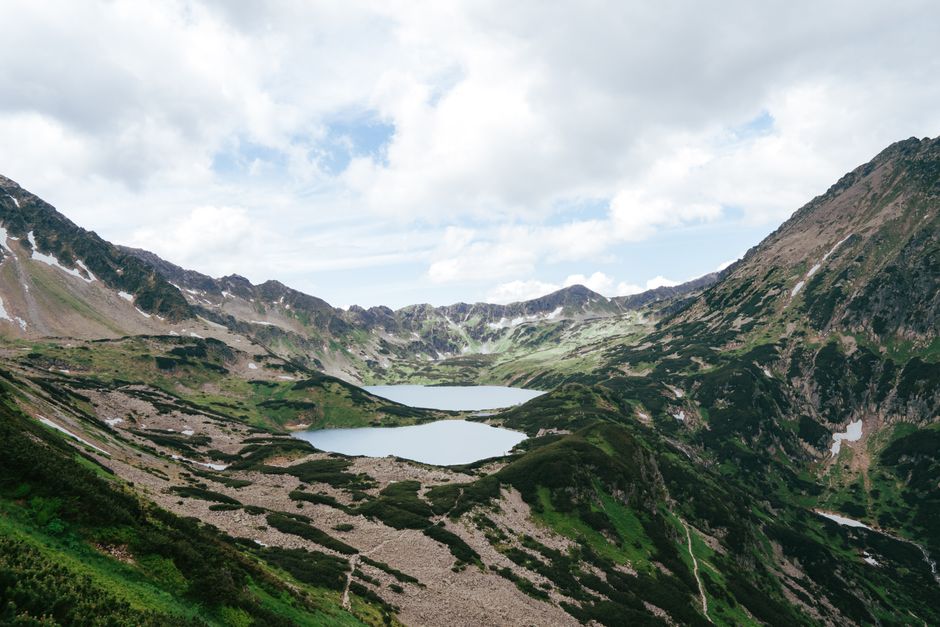 Mountain trail in summer