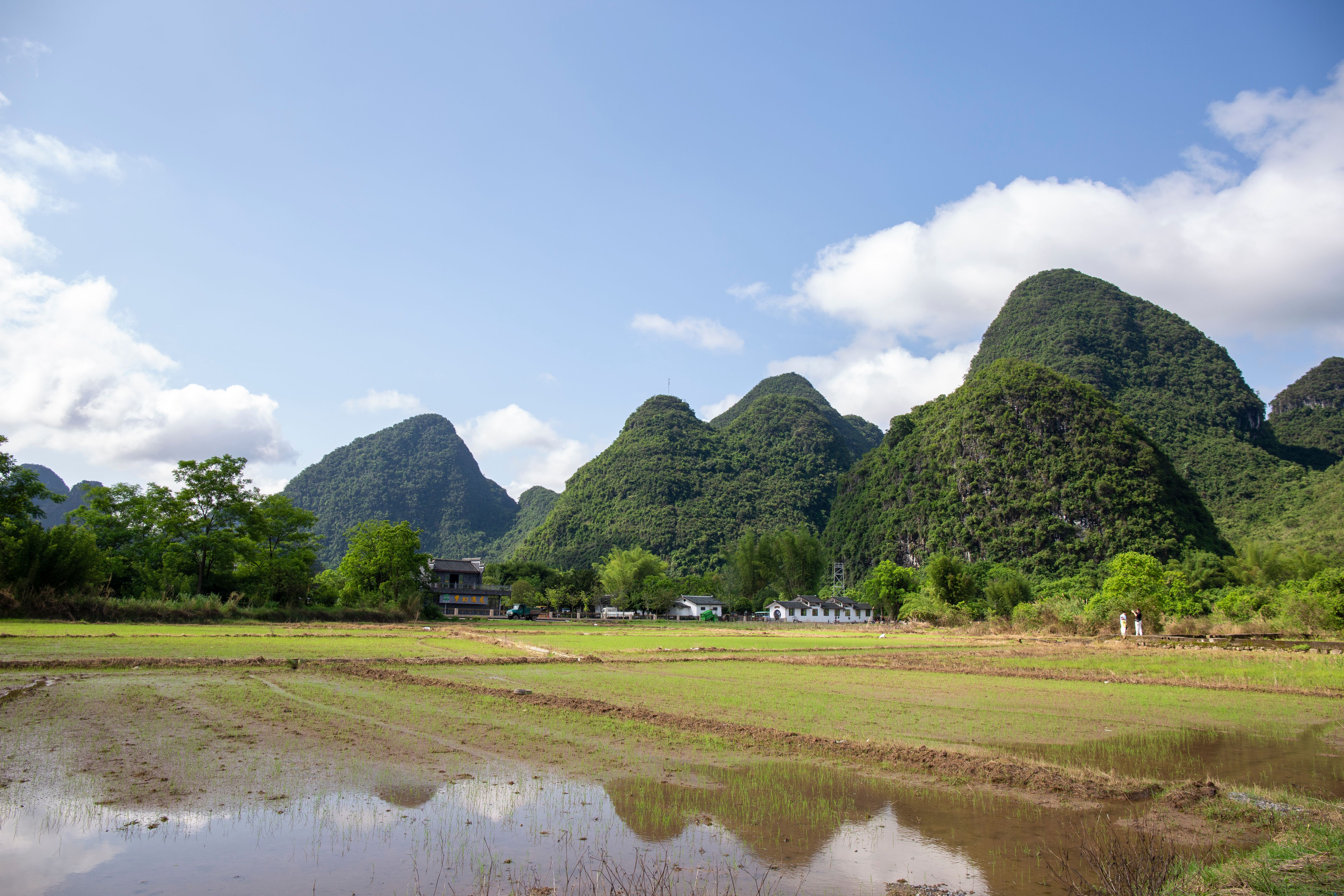 View of Pointy Green Hills of Yangshuo in China near Rice Fields · Free ...