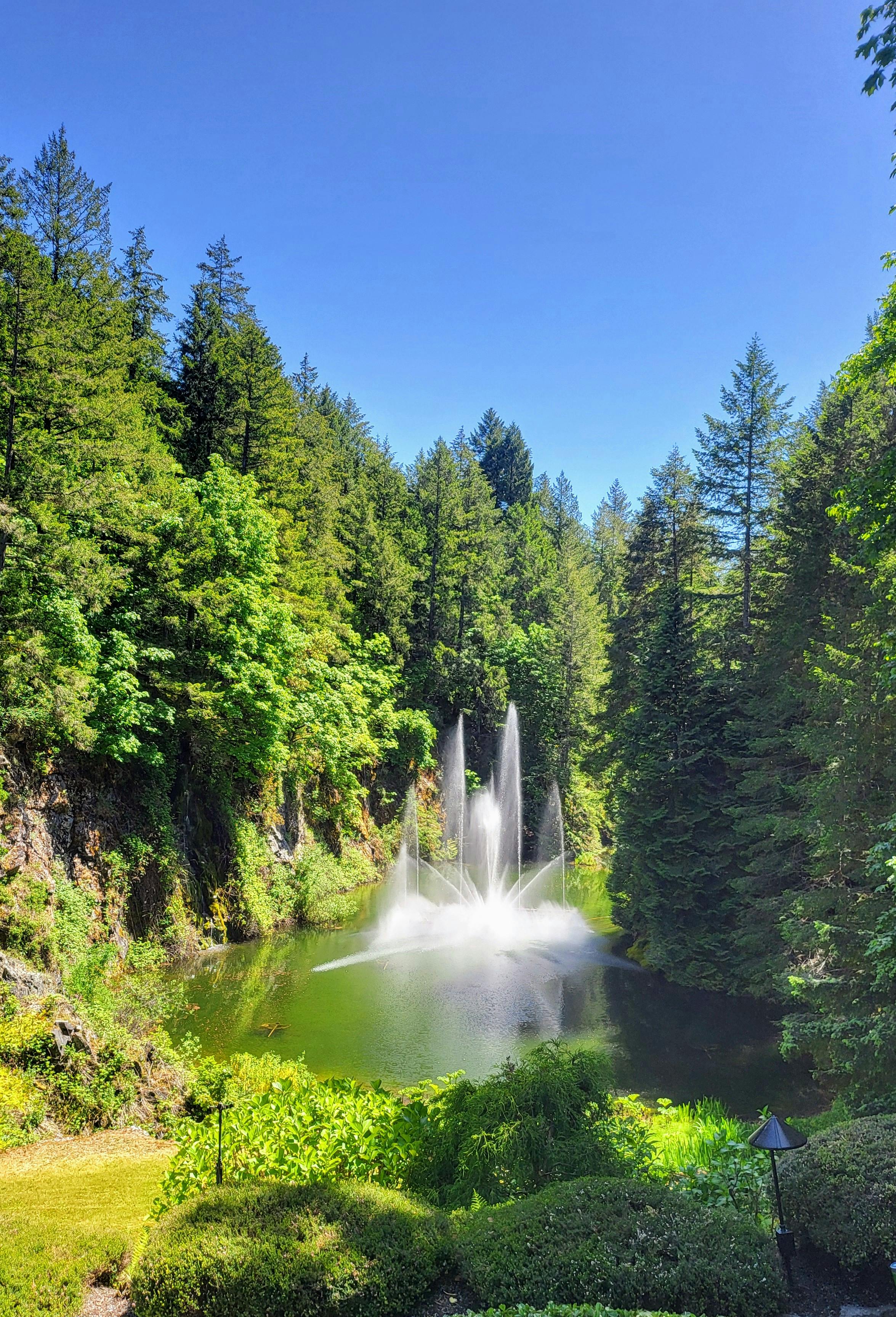 Fall Airplane Photos, Download The BEST Free Fall Airplane Stock Photos ...