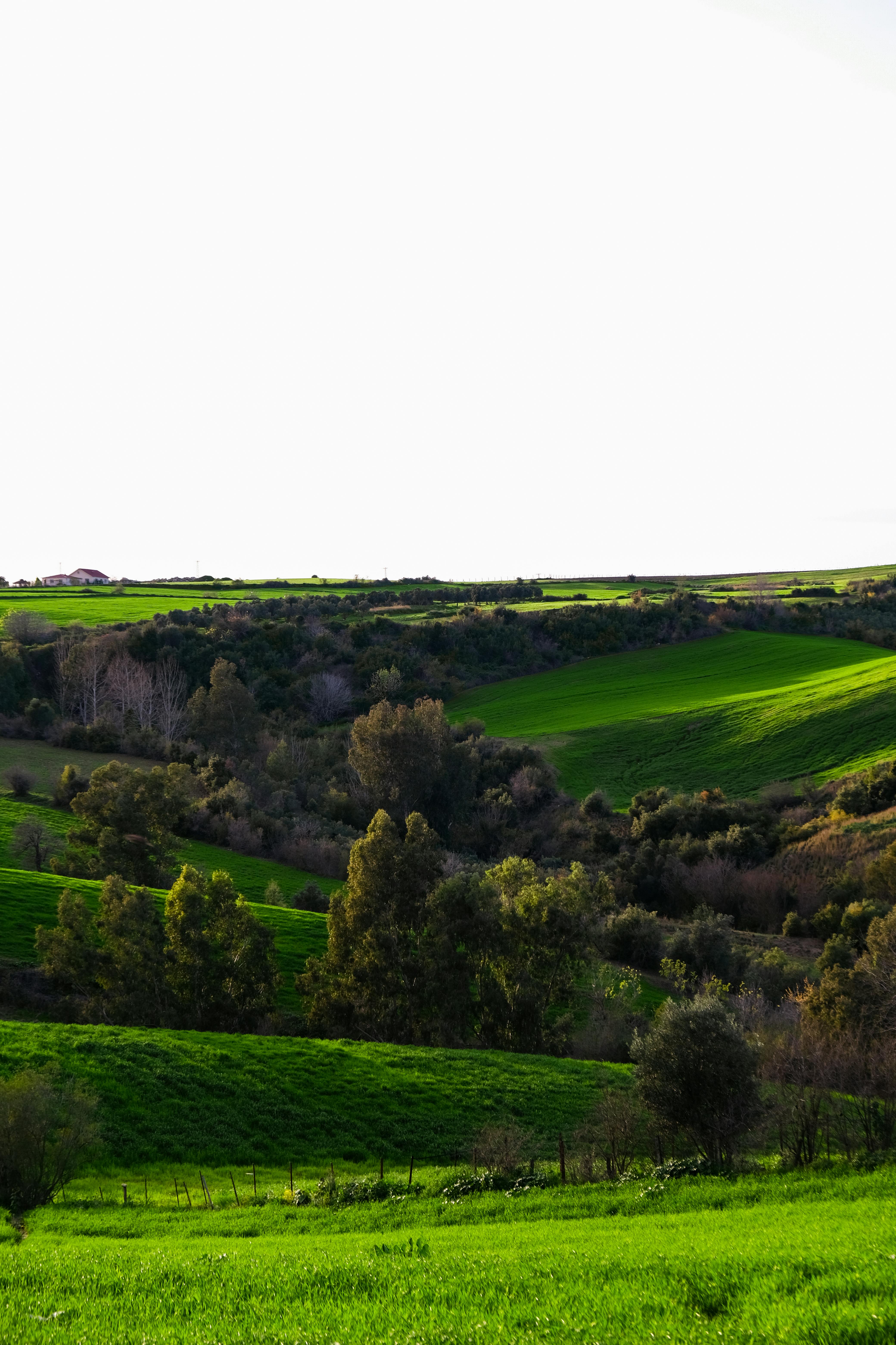 Green Countryside Landscape · Free Stock Photo