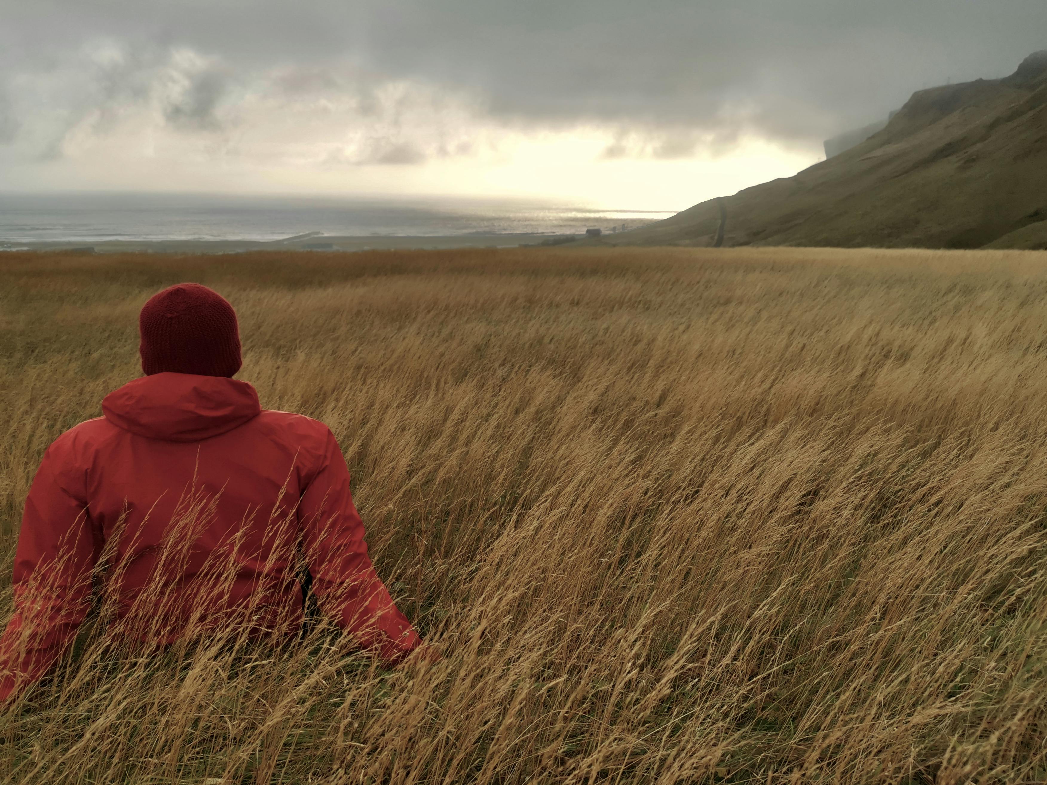 Person in Red Jacket Lying on Whey Field near Mountains · Free Stock Photo