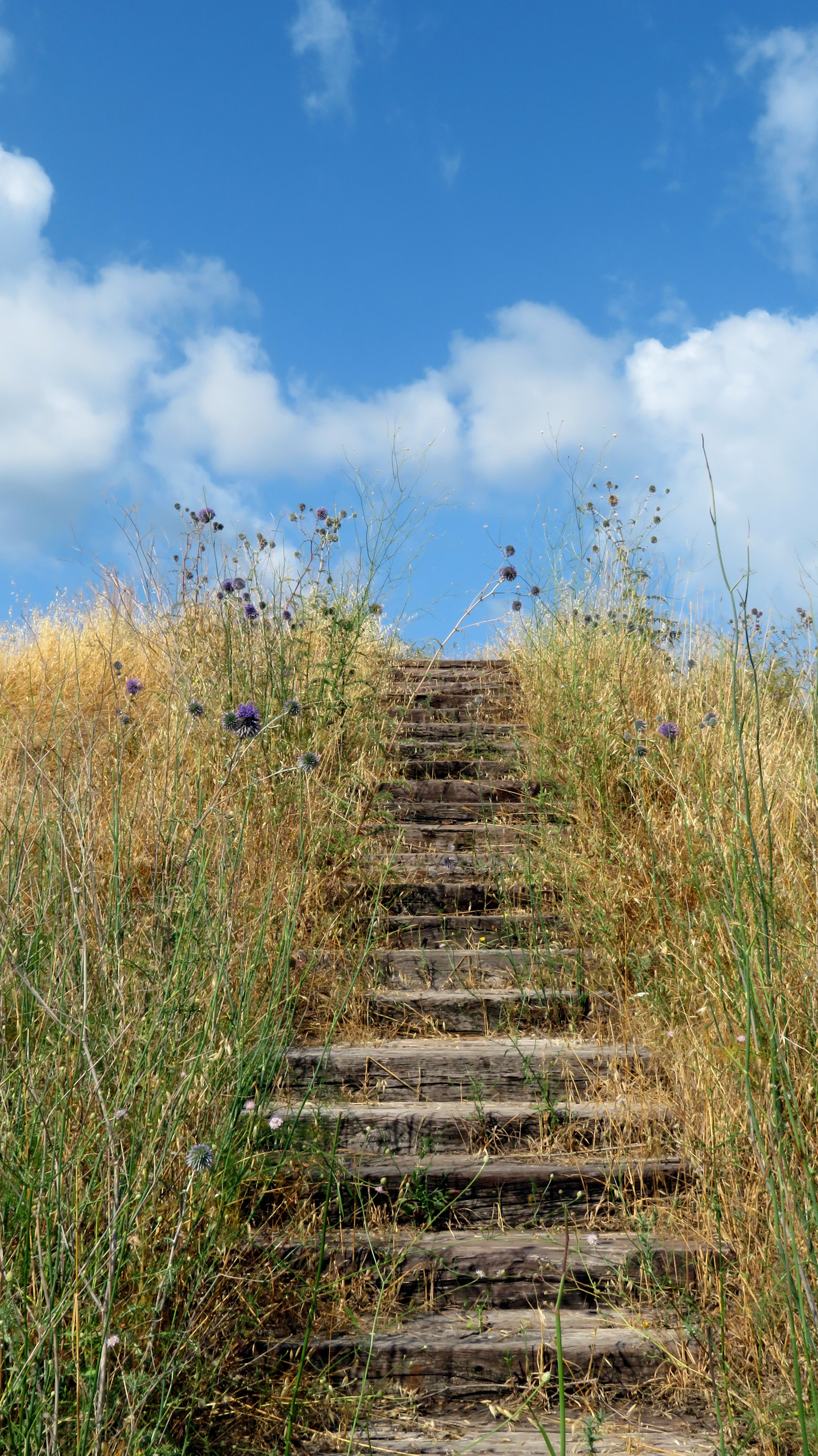 Wooden Steps to the Hill · Free Stock Photo