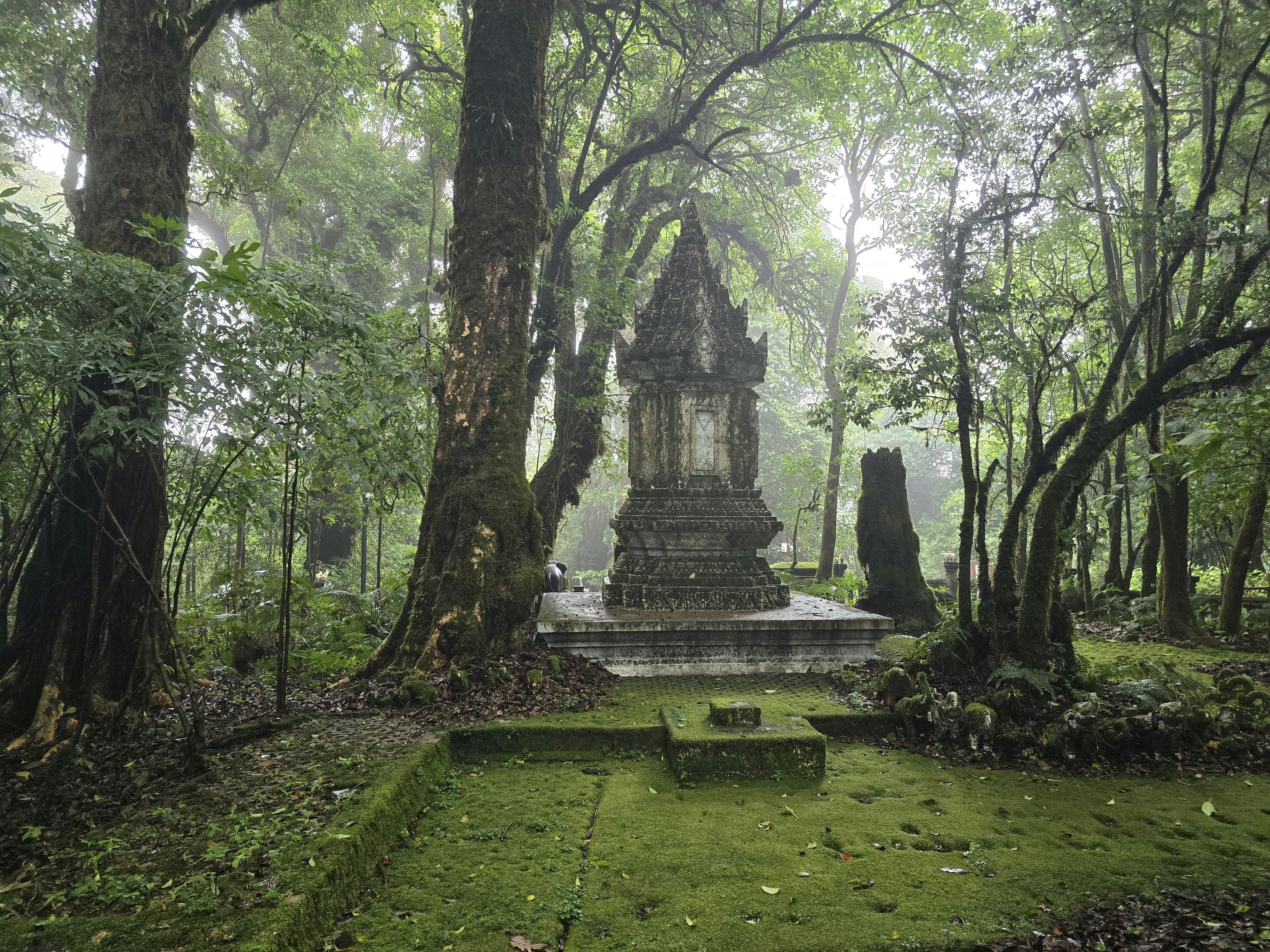 Doi Inthanon National Park, Thailand Photos, Download The BEST Free Doi ...