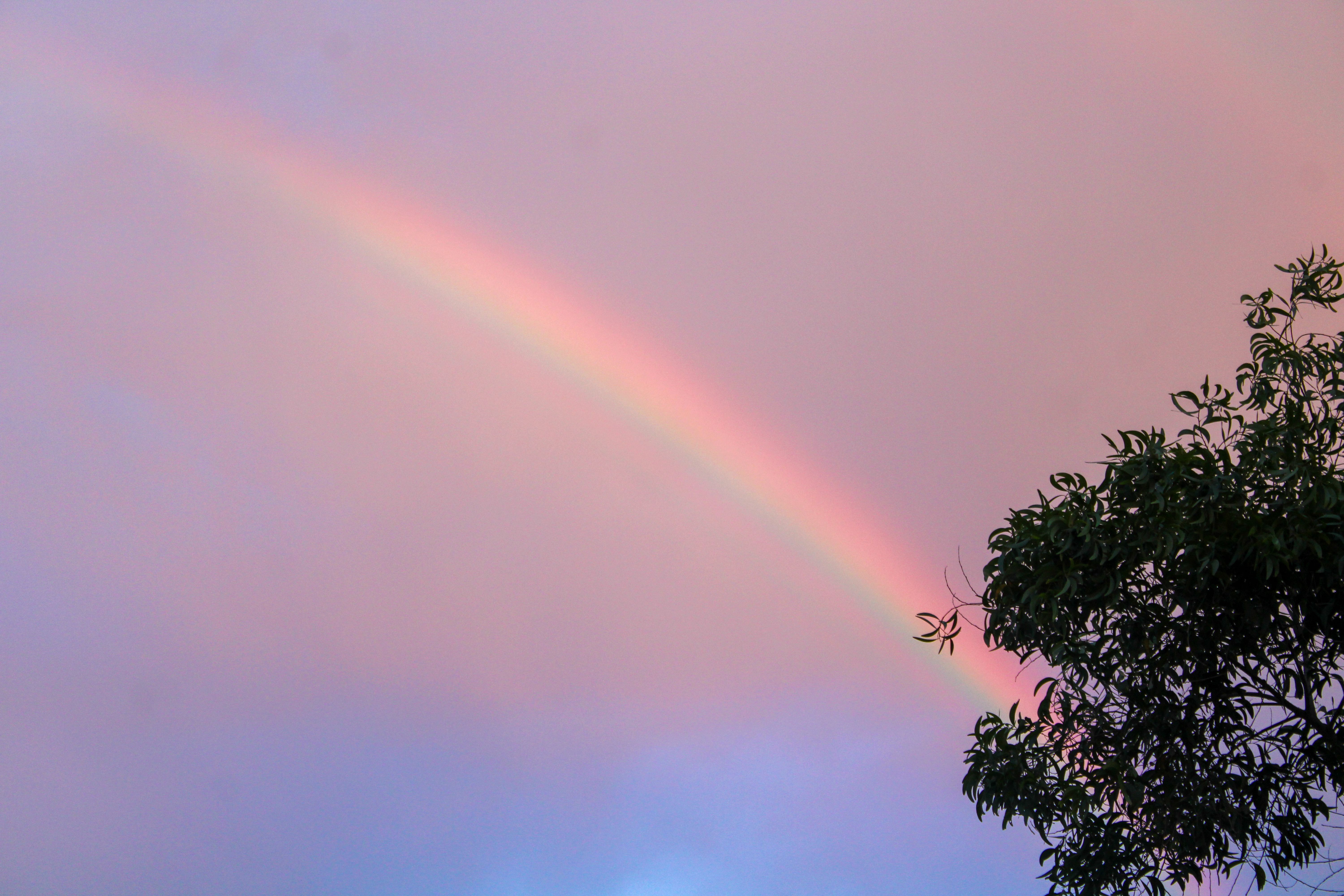 Weather Rainbow In India Photos, Download The BEST Free Weather Rainbow ...