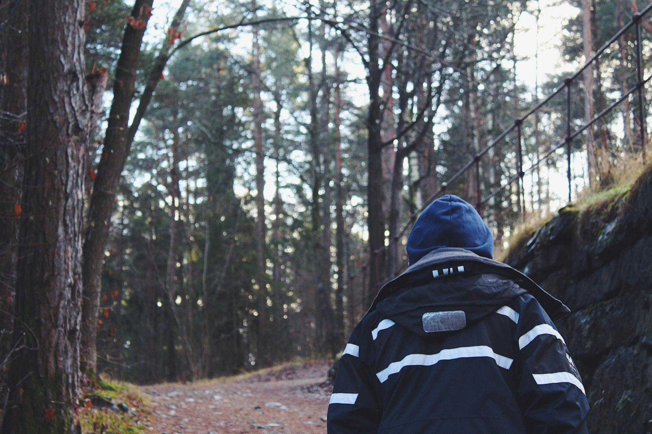 Back View of Man in Forest · Free Stock Photo