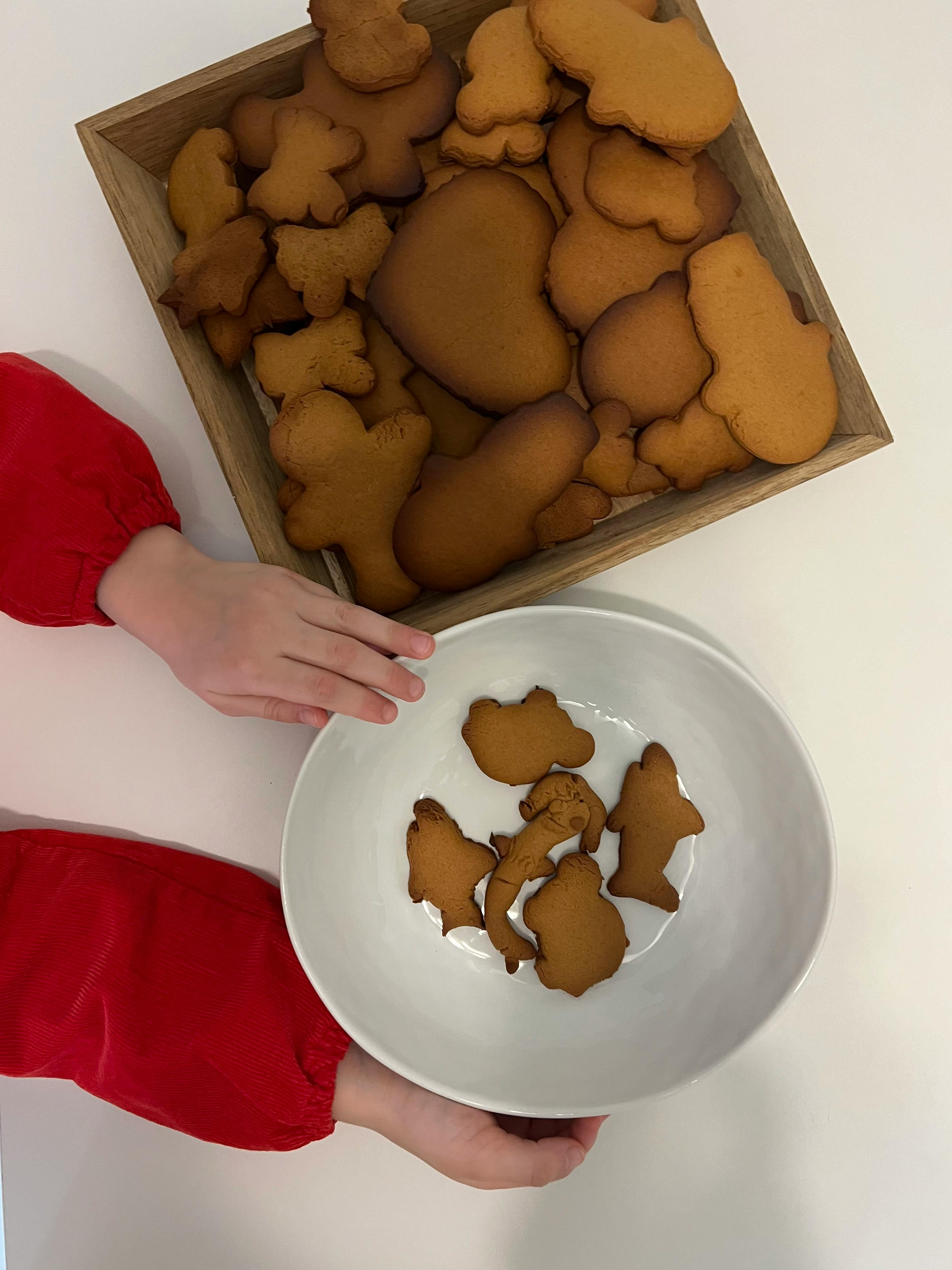 Breaker Box Photos, Download The BEST Free Breaker Box Stock Photos ...