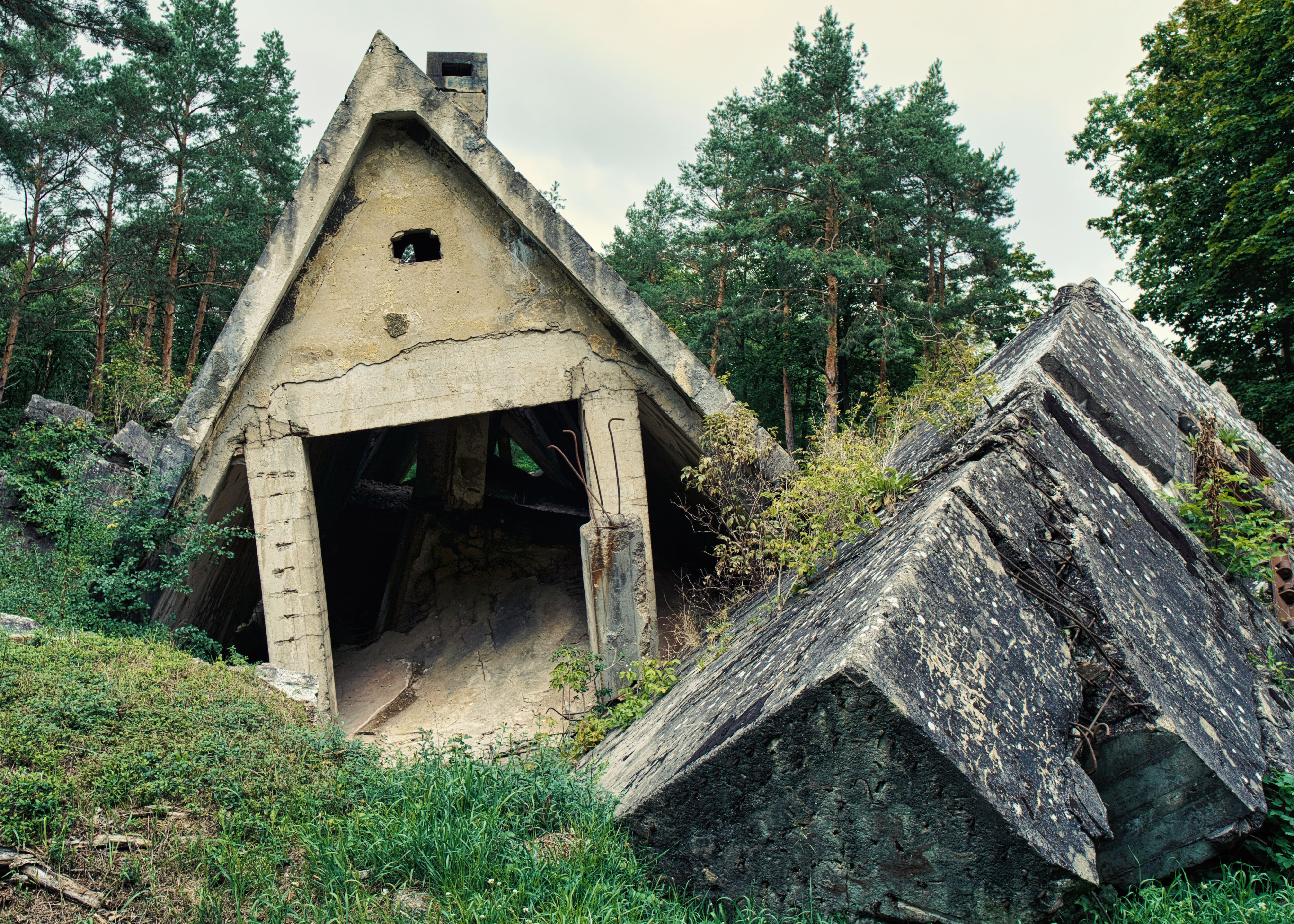 Ruins of Shed in Forest · Free Stock Photo
