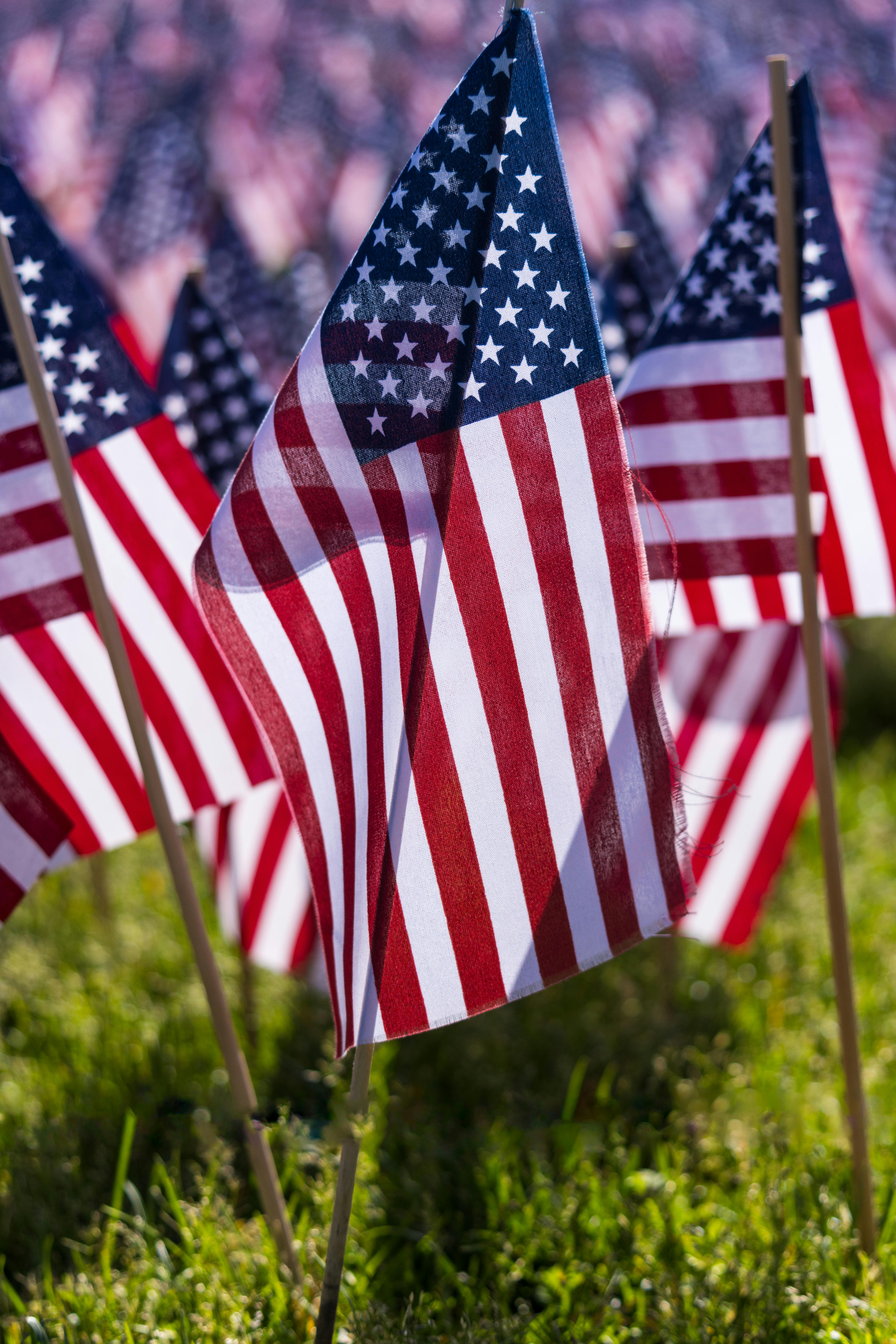 Flags of USA · Free Stock Photo