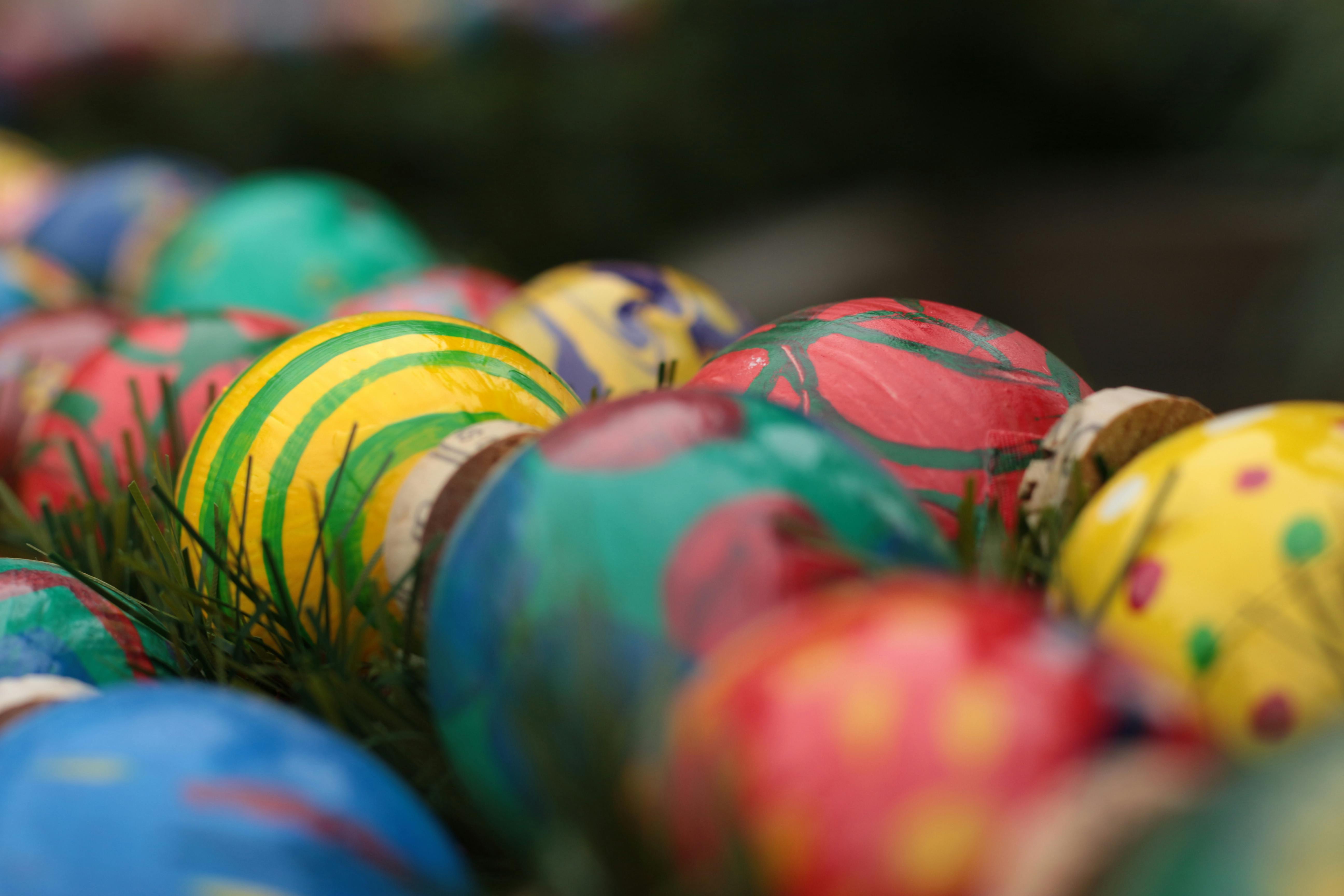 Louis Bauer - 사진