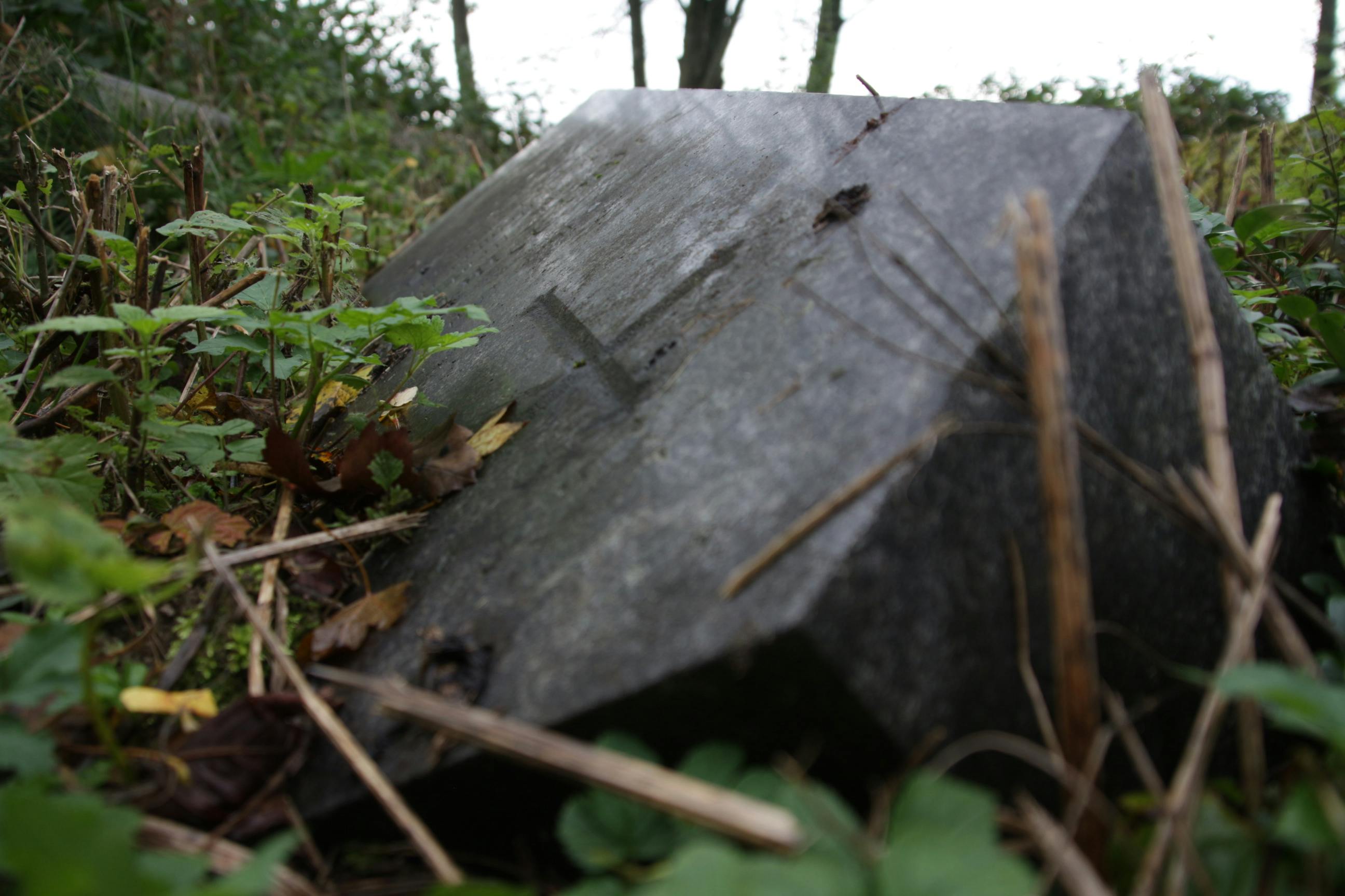 Louis Bauer - Photography