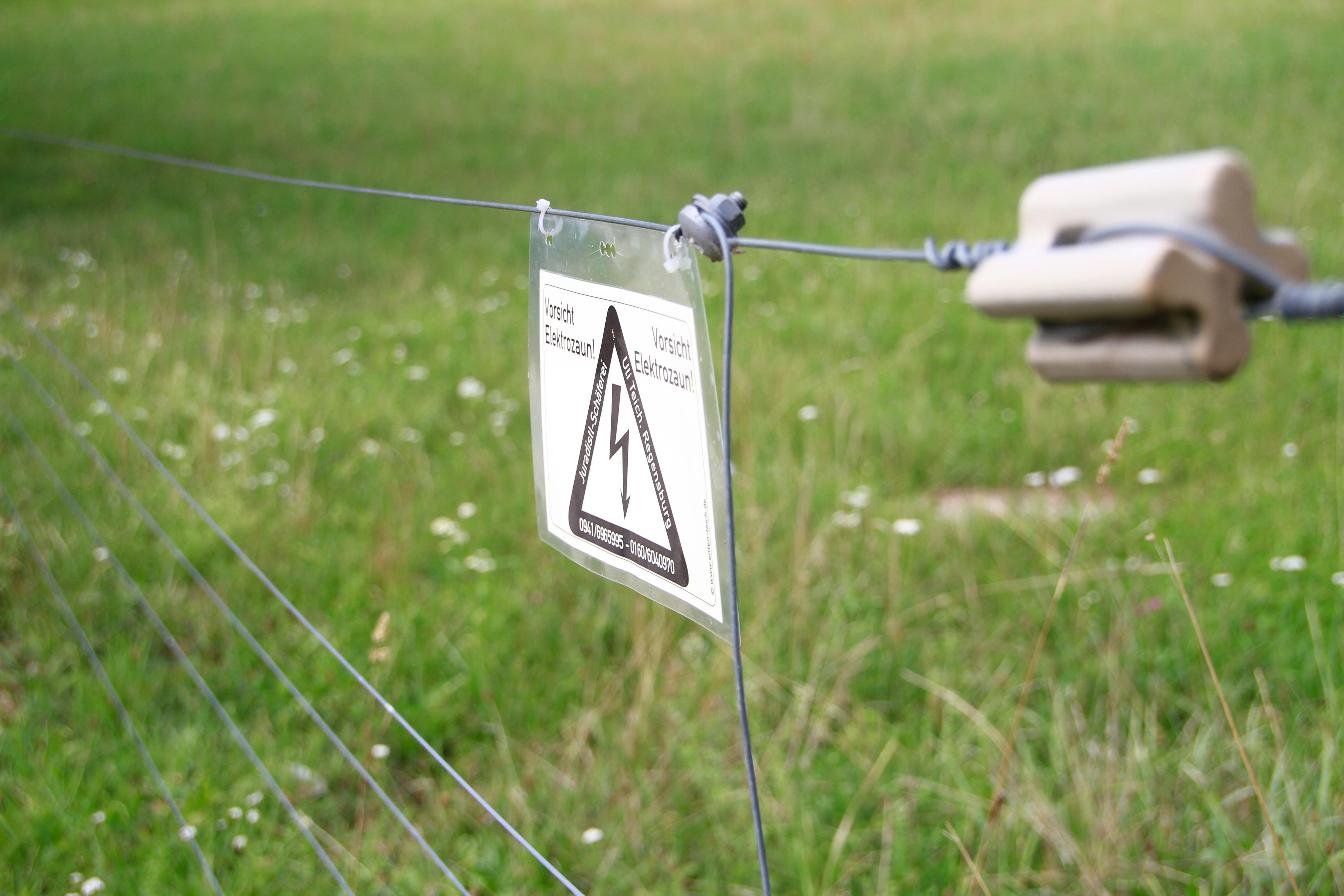 Louis Bauer - Photography