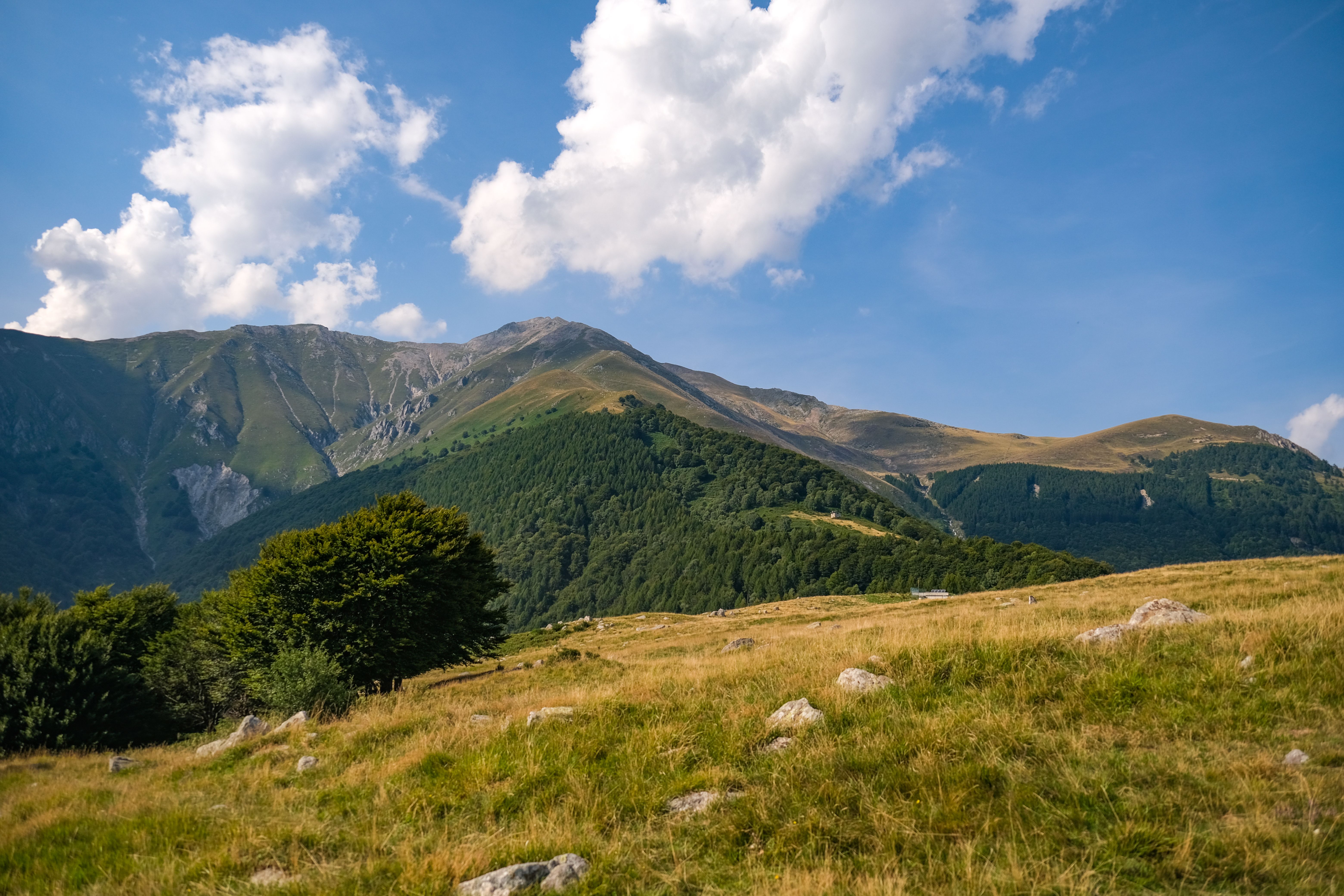 Sunny Mountain Landscape · Free Stock Photo