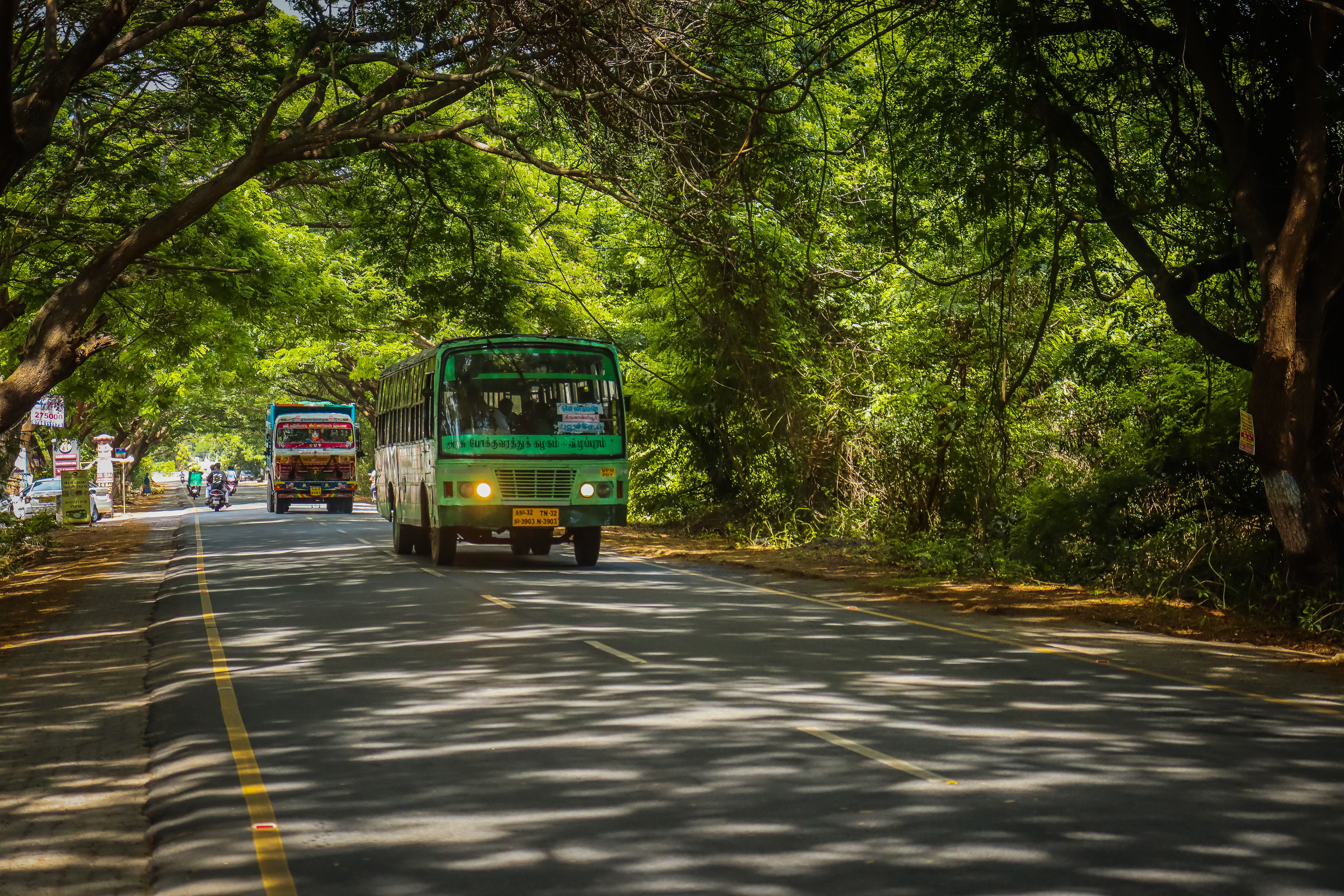 Green Bus Driving Through the Forest · Free Stock Photo
